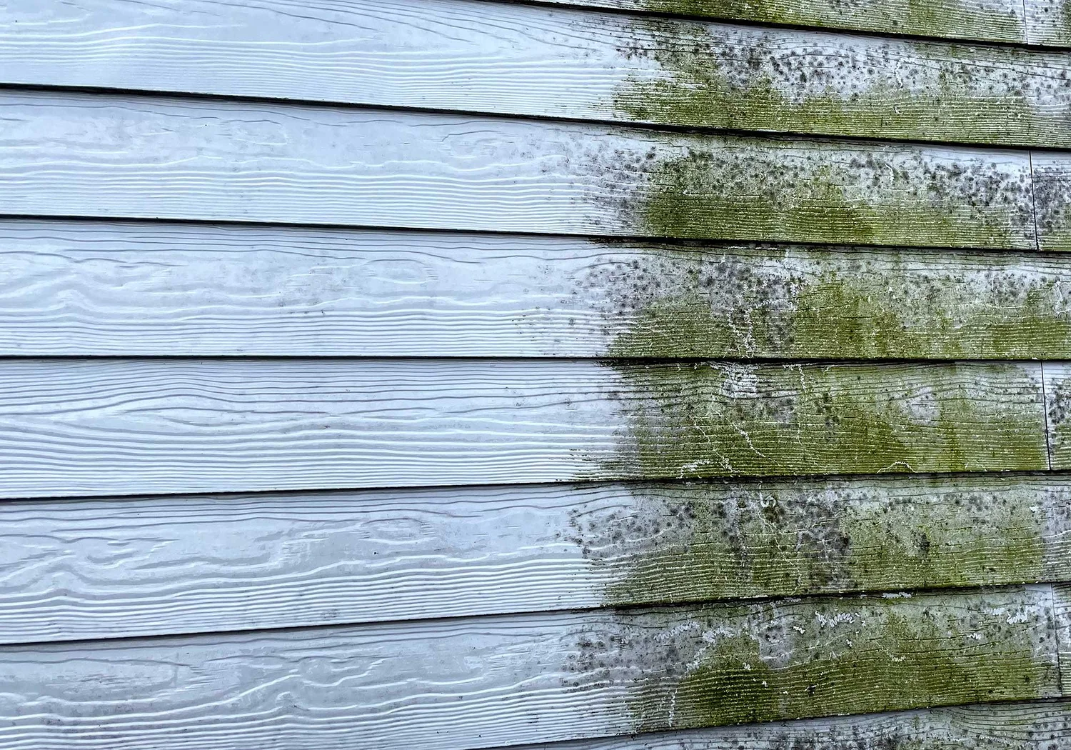 Building cladding cleaning — Spotless Window Cleaning