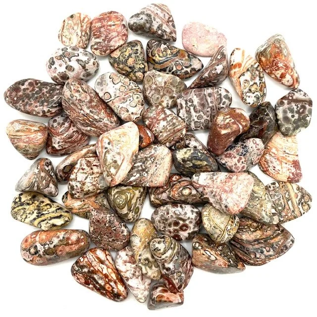 1/2 lb. Tumbled Leopardskin Jasper — black market minerals