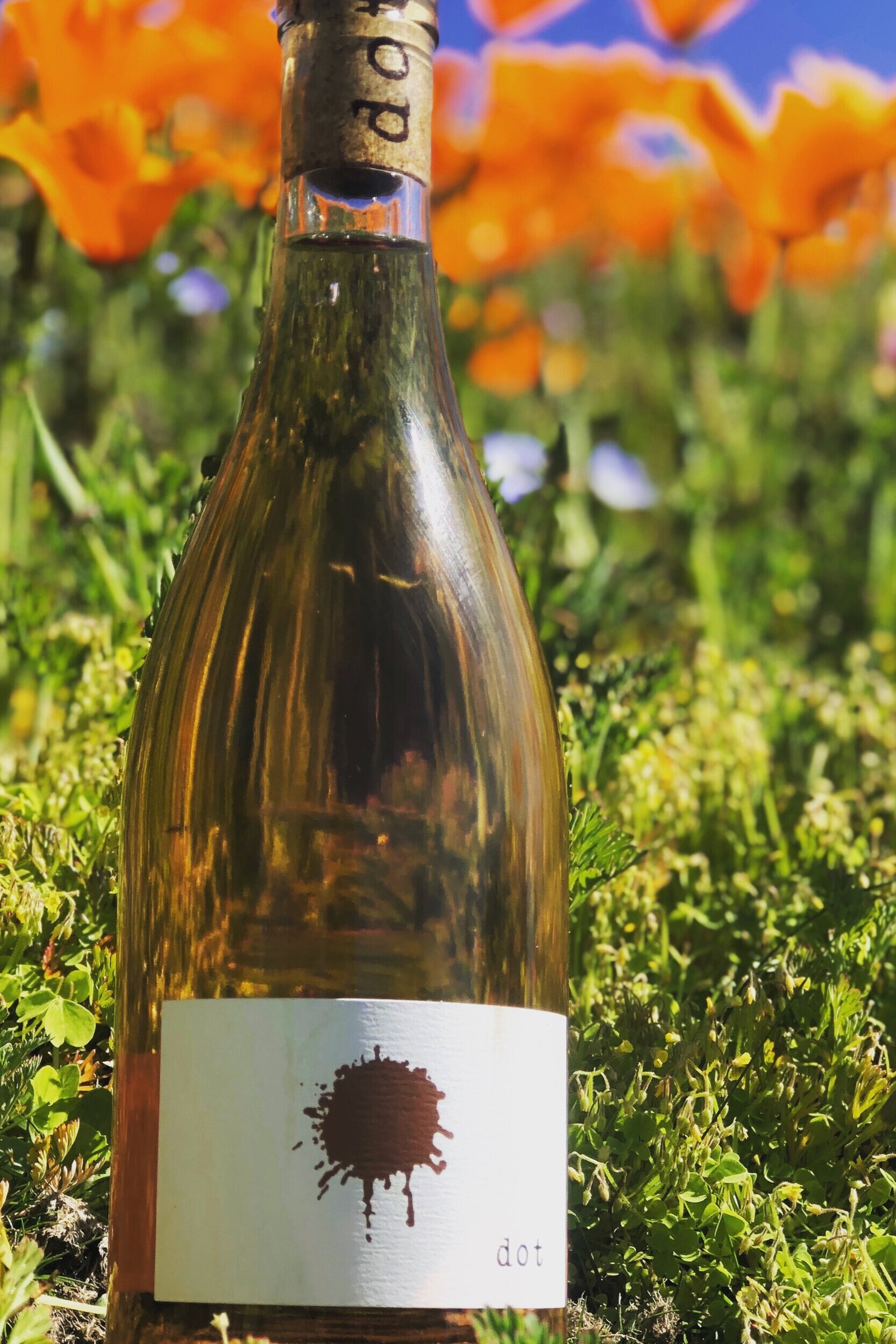 Dot Wine • Sonoma County CA • Drink Dot Wines
