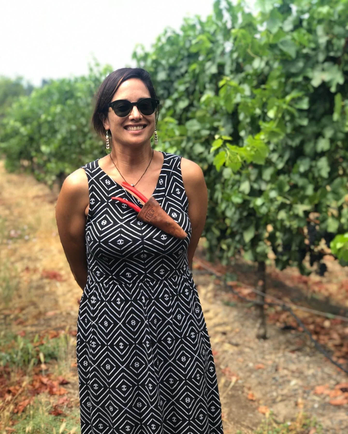 Dot Wine • Sonoma County CA • Drink Dot Wines