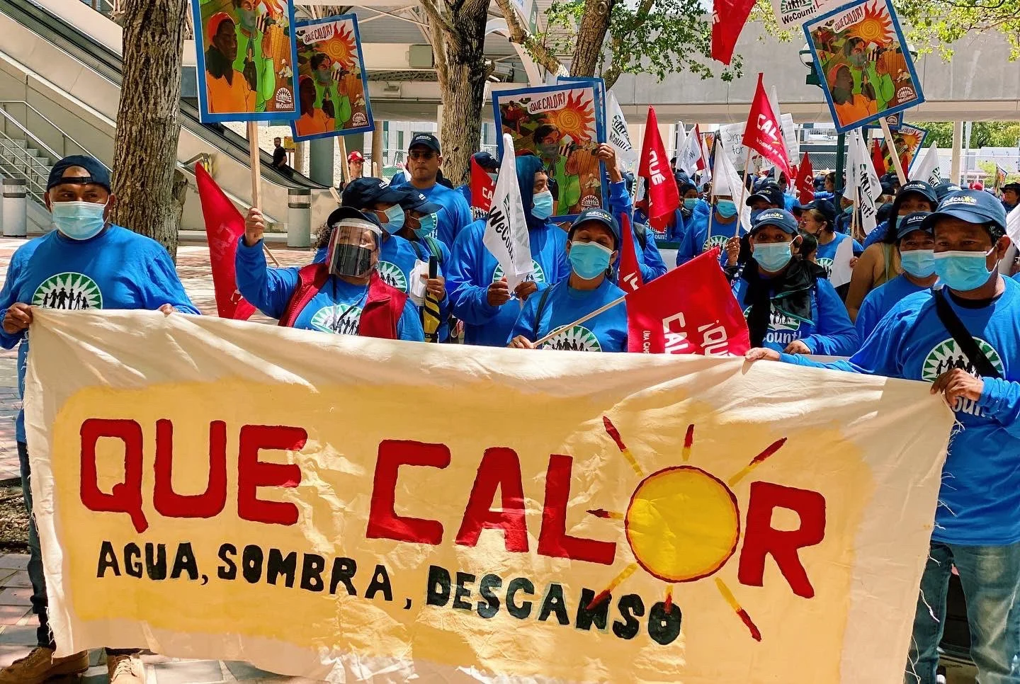 Que Calor — WeCount!