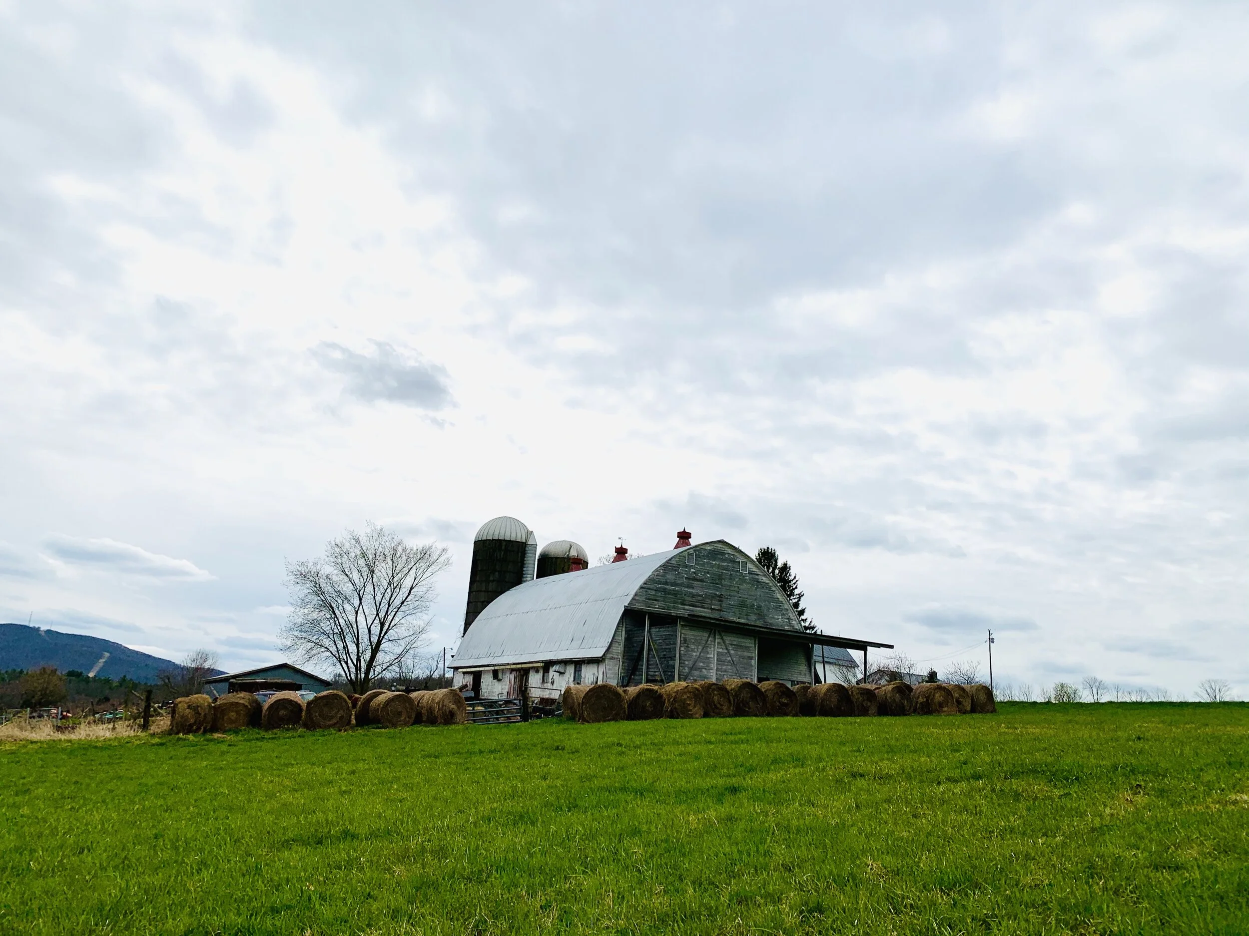 Our Farm — Shupp Hill Farm