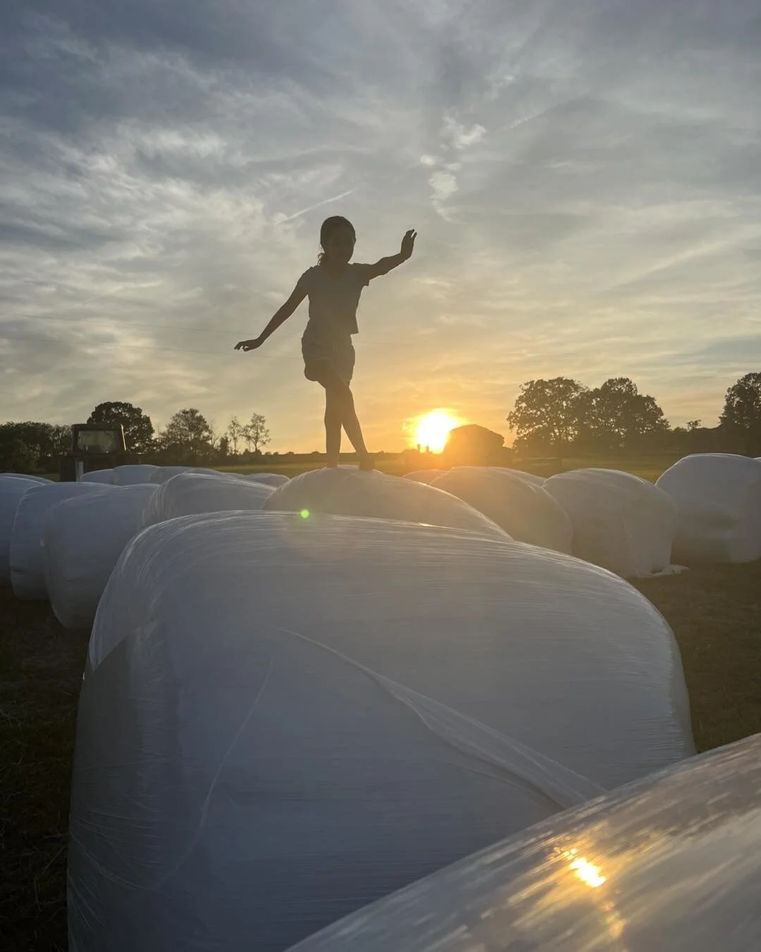 Gallery — Shupp Hill Farm