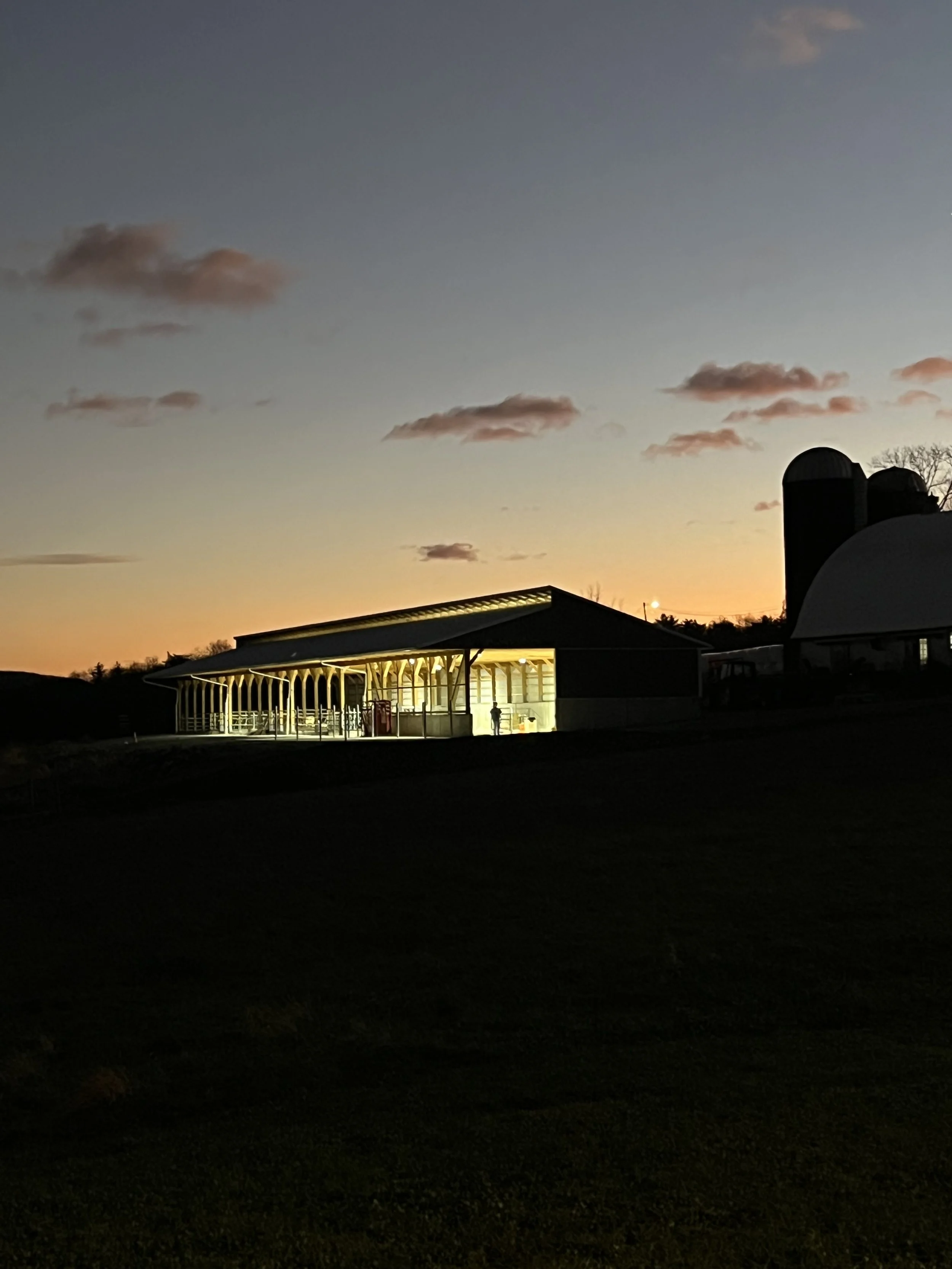 Our Farm — Shupp Hill Farm