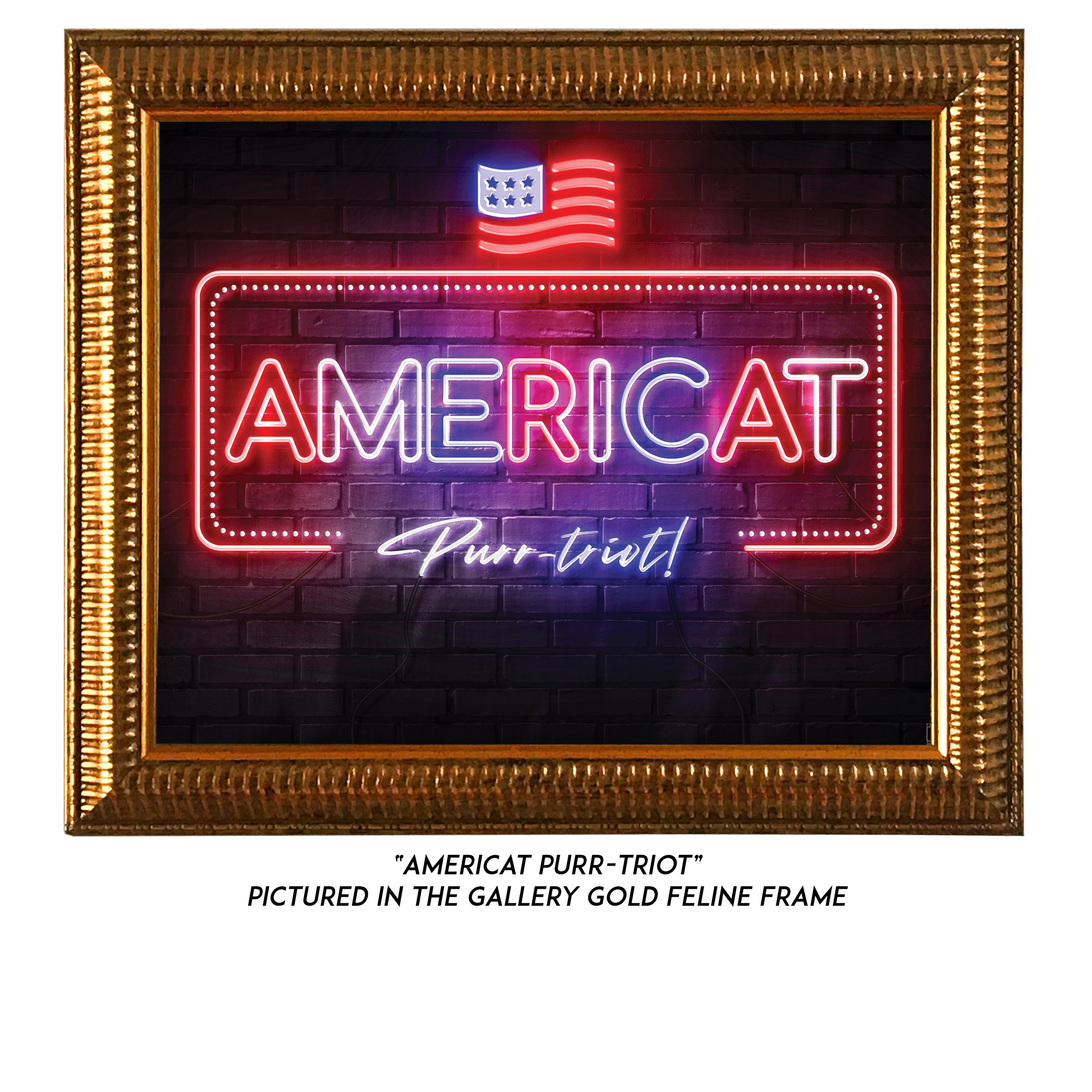 "Americat Purr-triot" — Frame Your Feline