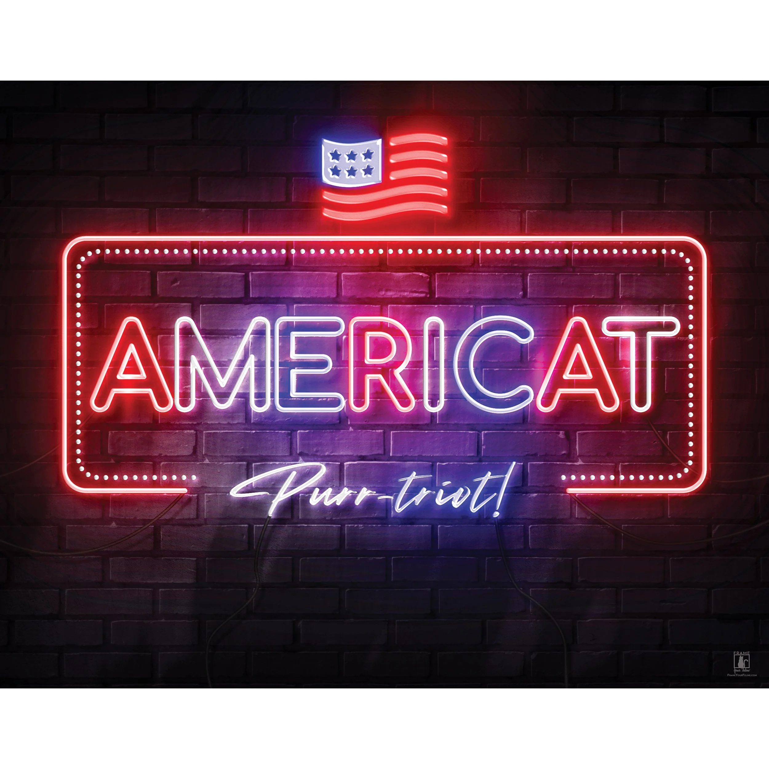 Signs, Flags & Symbols — Frame Your Feline