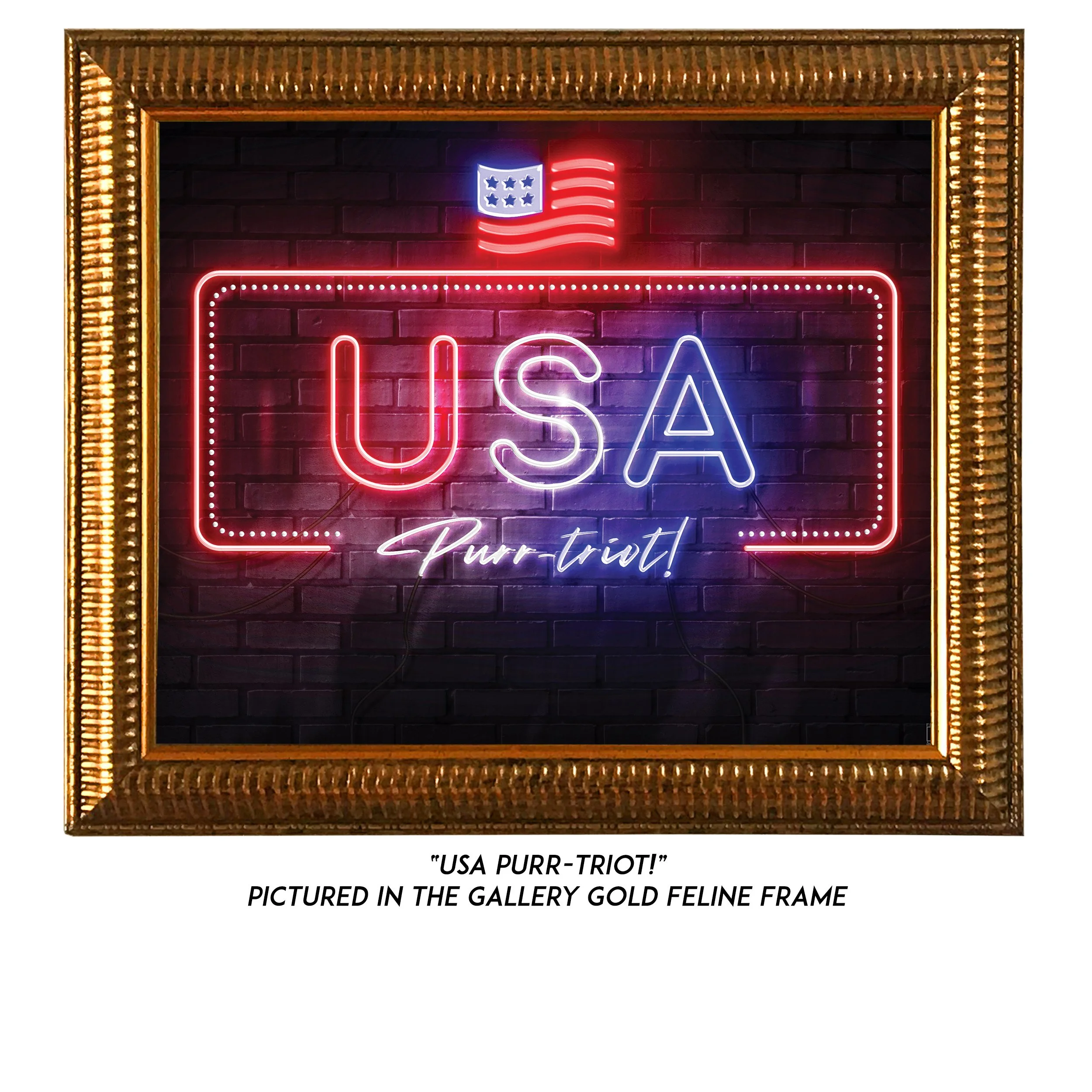 Signs, Flags & Symbols — Frame Your Feline