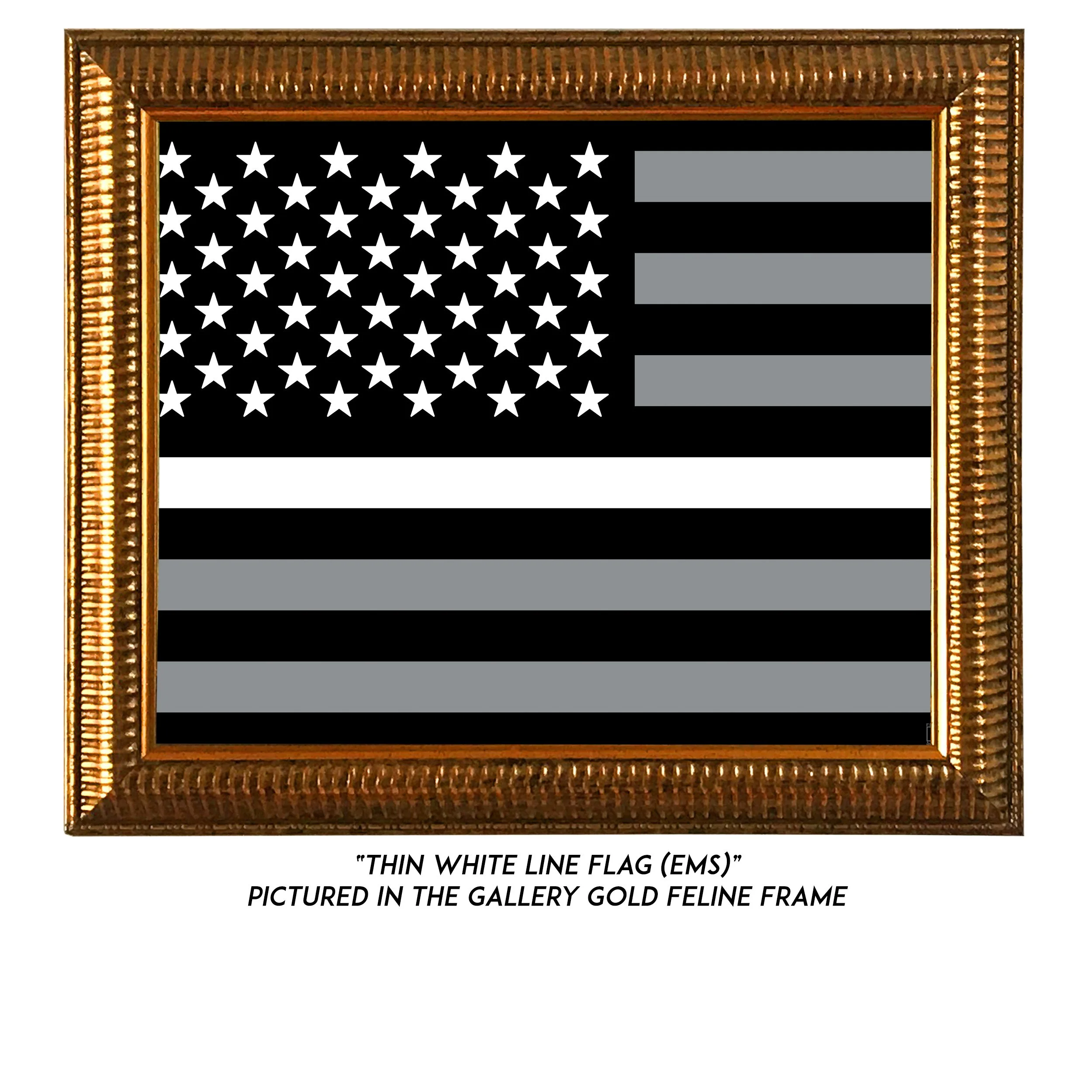 Signs, Flags & Symbols — Frame Your Feline