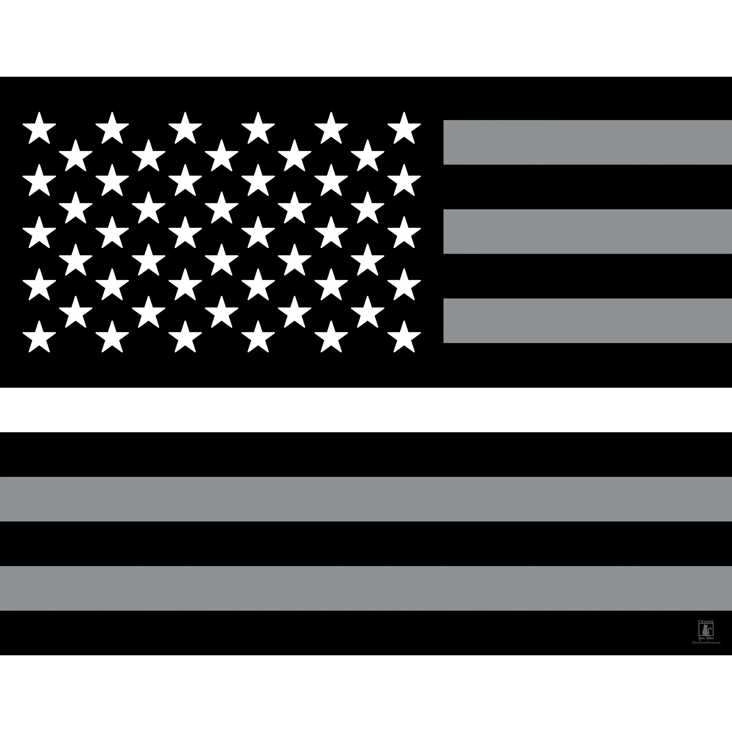 "Thin Silver Line Flag (Corrections)" — Frame Your Feline