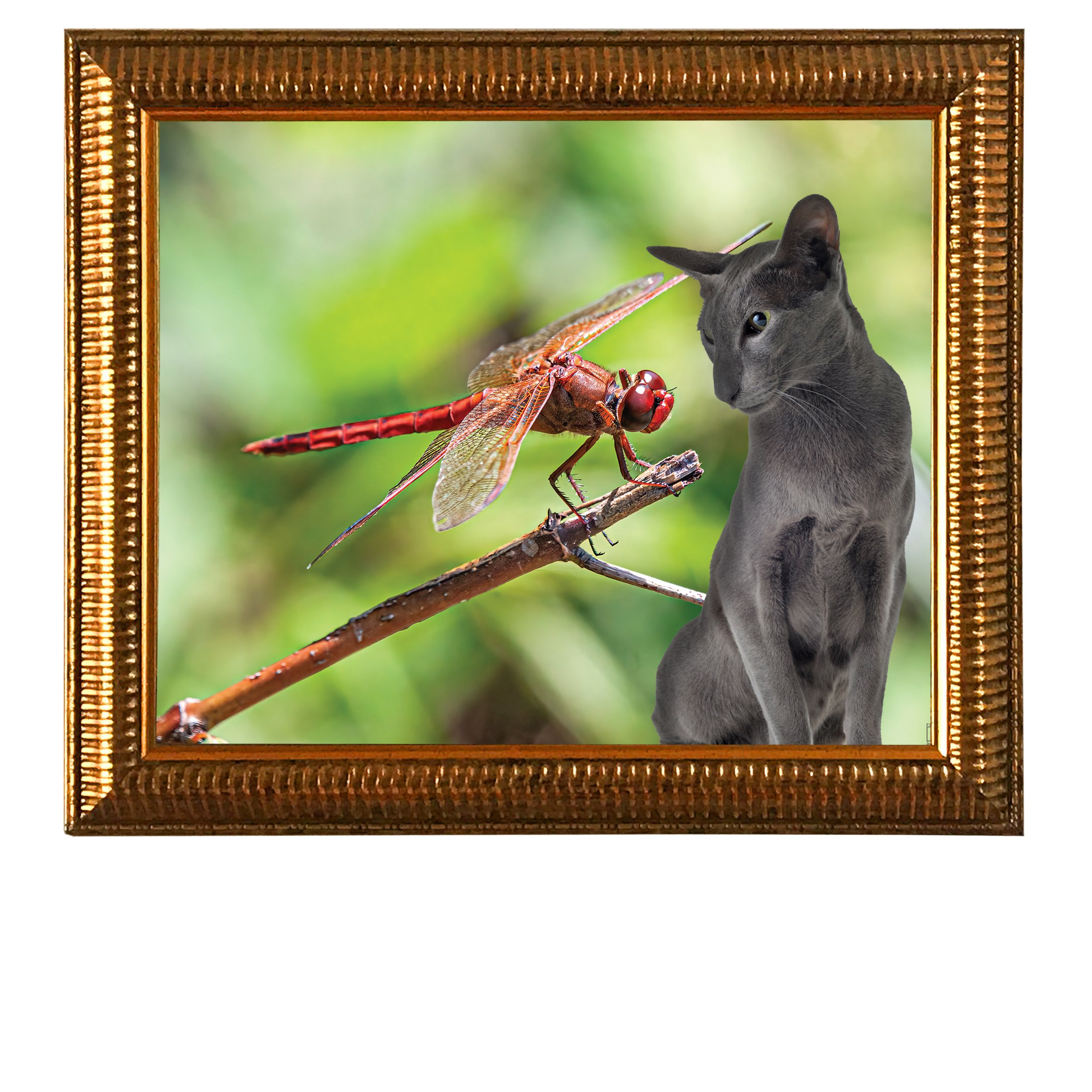 "Red Dragon" — Frame Your Feline