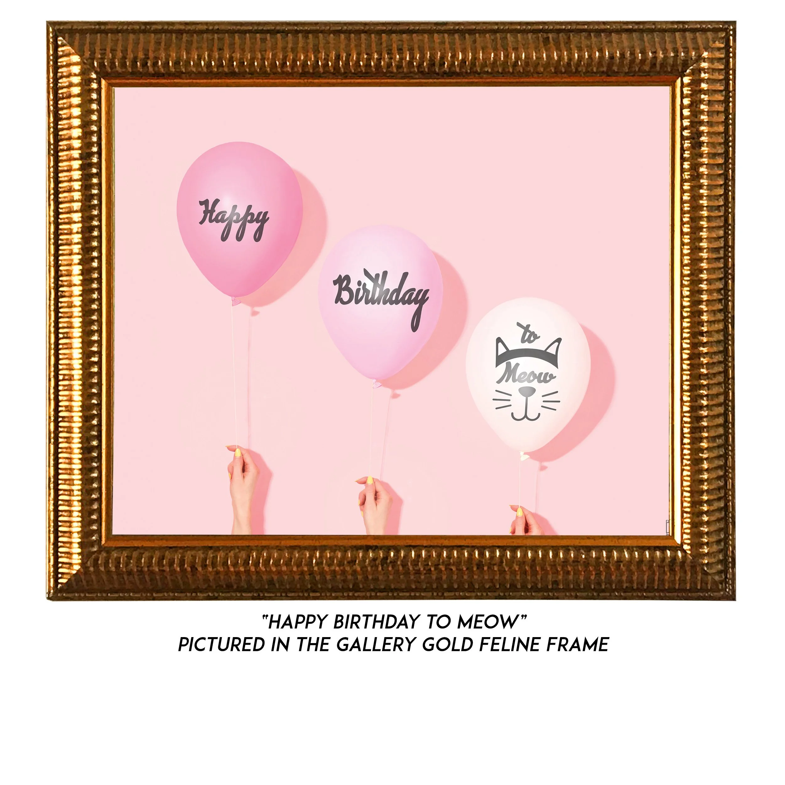 Signs, Flags & Symbols — Frame Your Feline