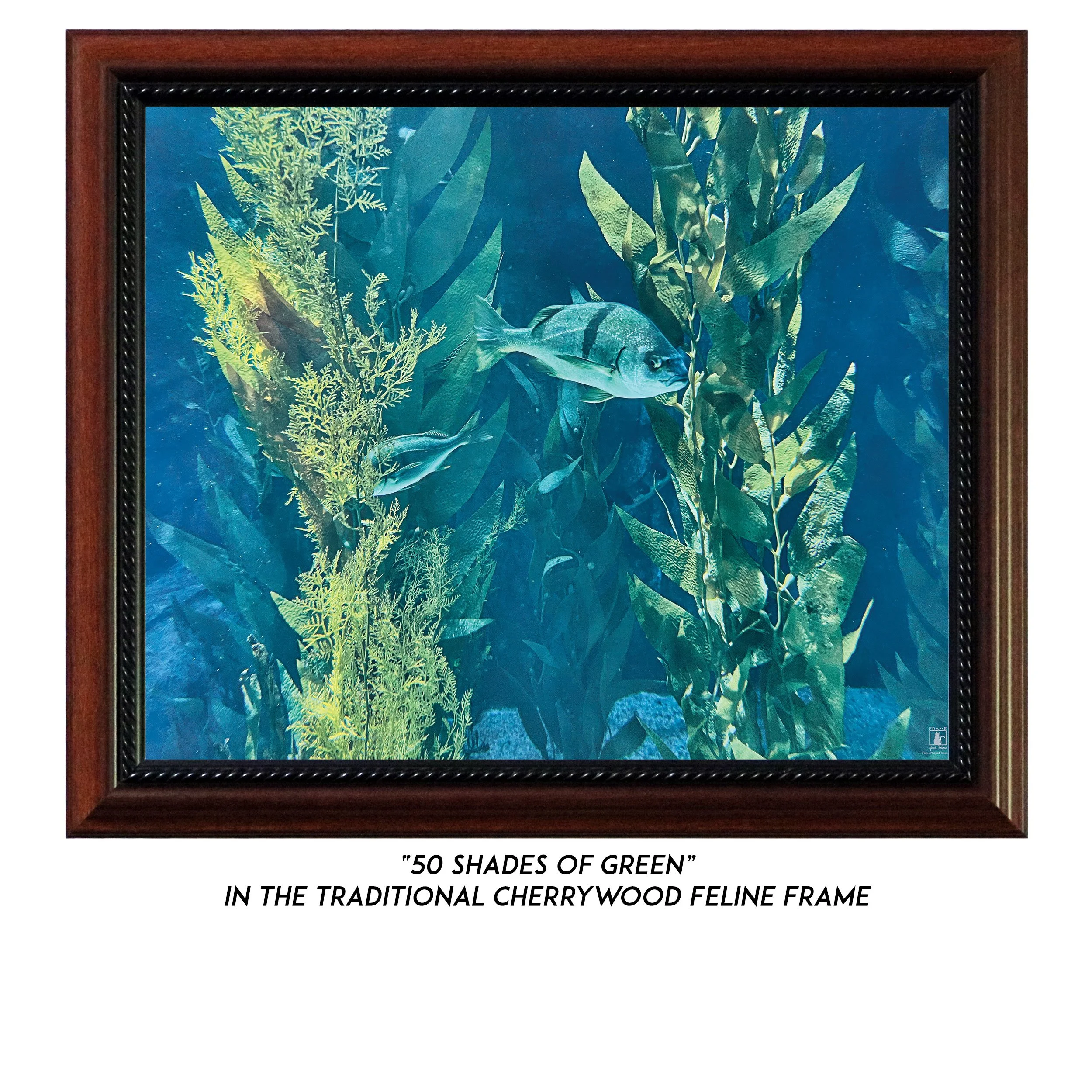 "50 Shades of Green" — Frame Your Feline