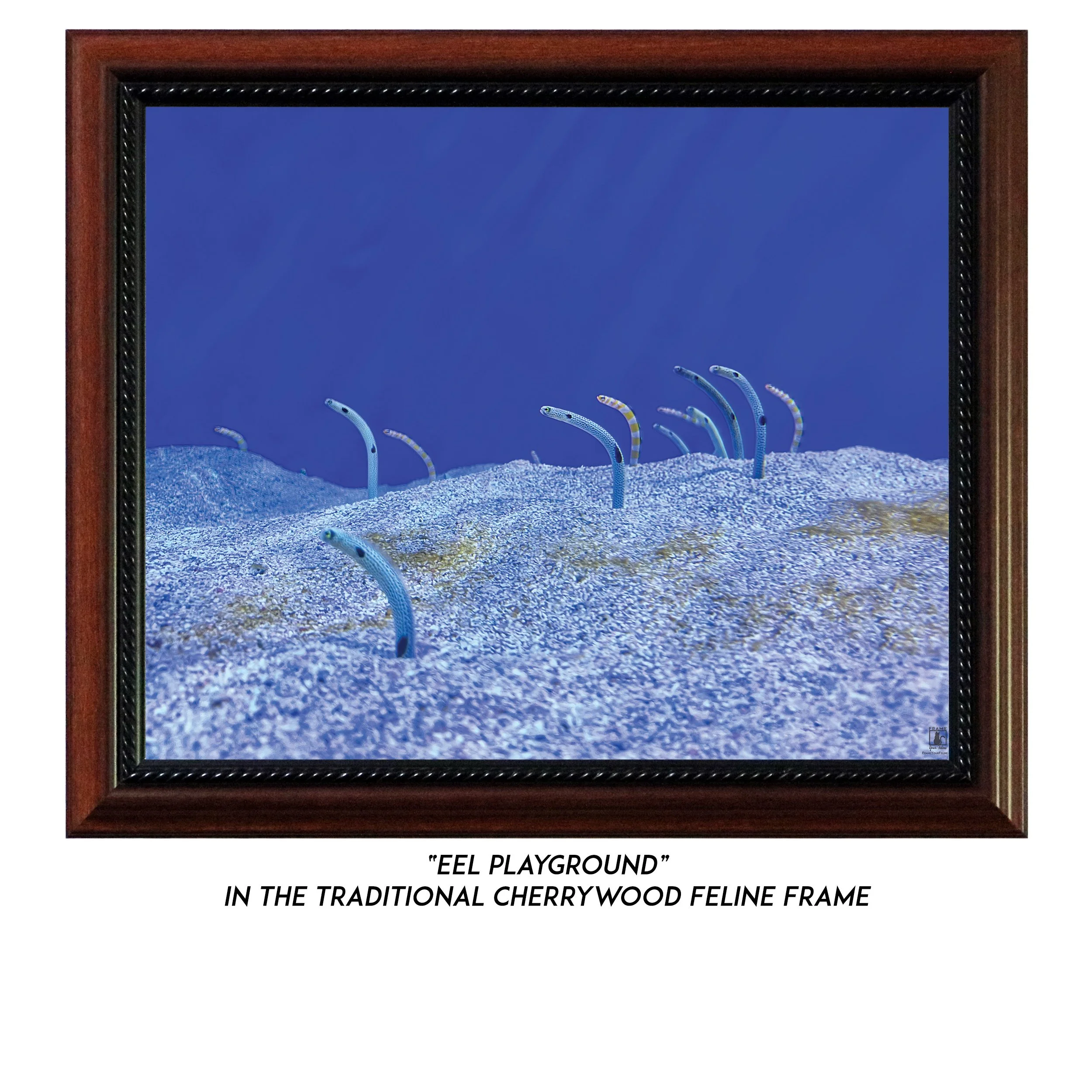 "Eel Playground" — Frame Your Feline