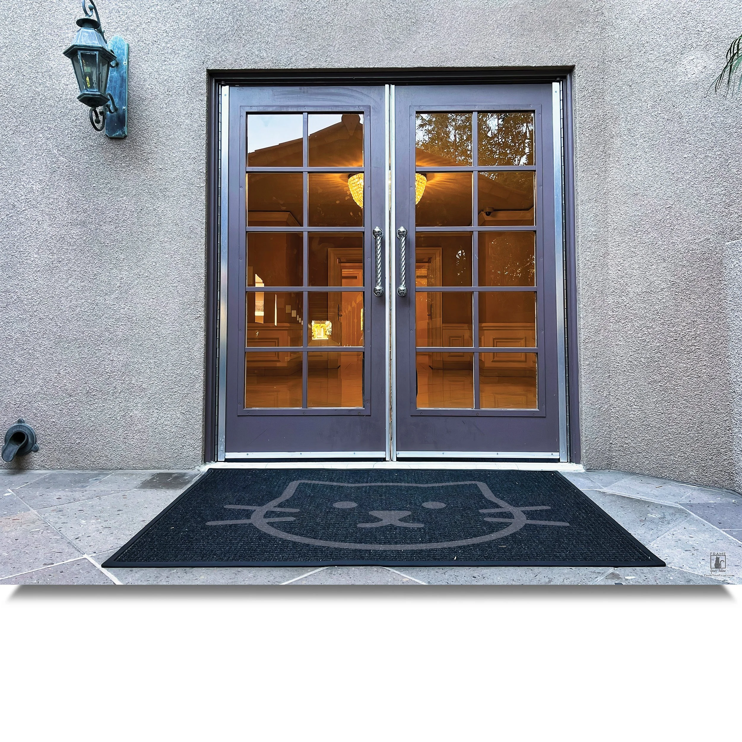 "Double Doors" — Frame Your Feline