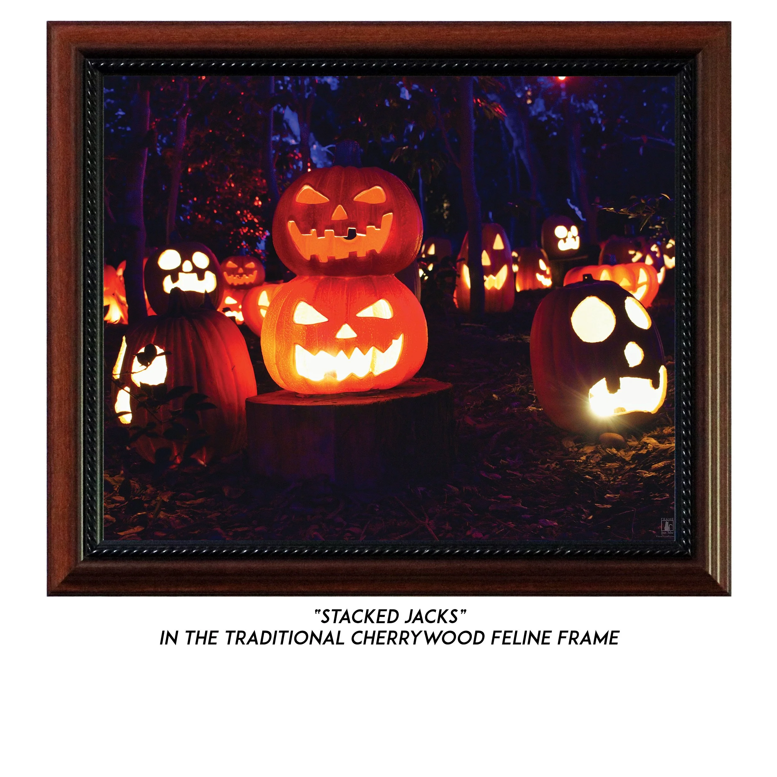 "Stacked Jacks" — Frame Your Feline