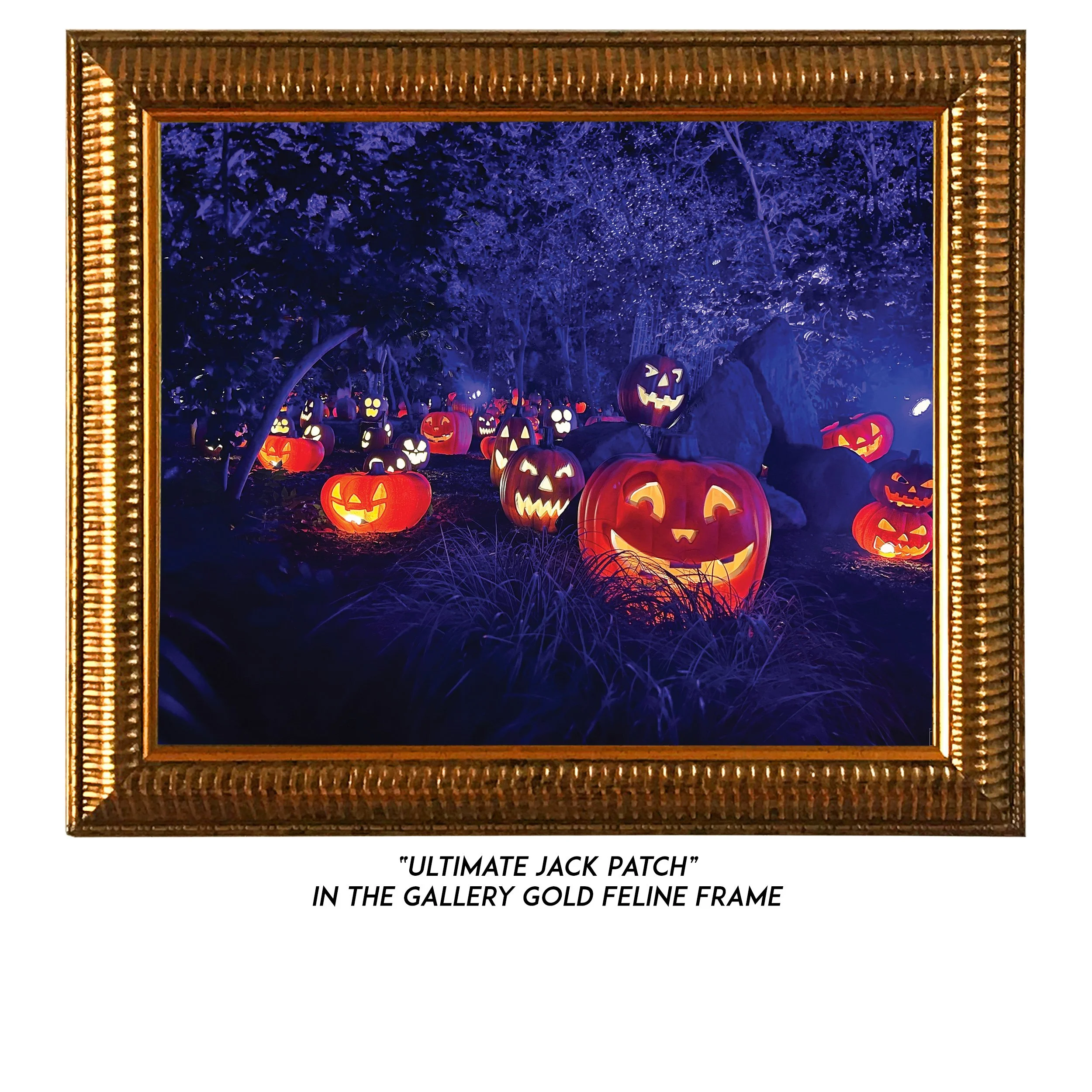 "Ultimate Jack Patch" — Frame Your Feline