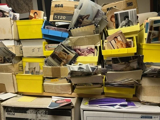 Toxic Masculinity — concept animals