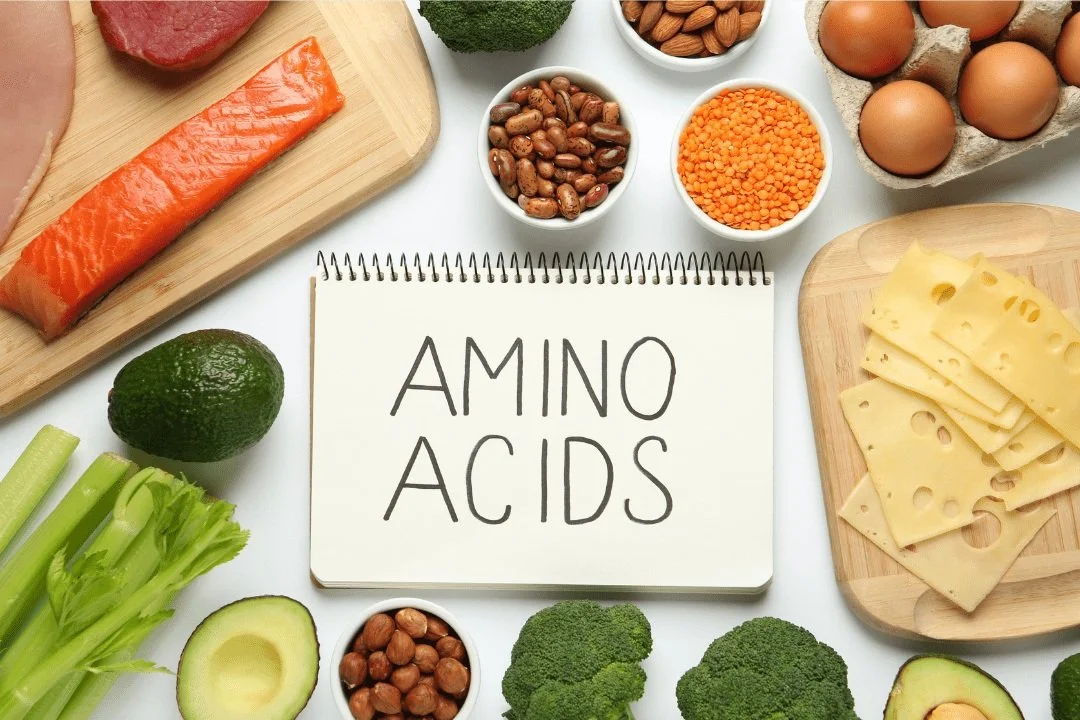 Your Plant-Based Protein Guide — As You Are Nutrition