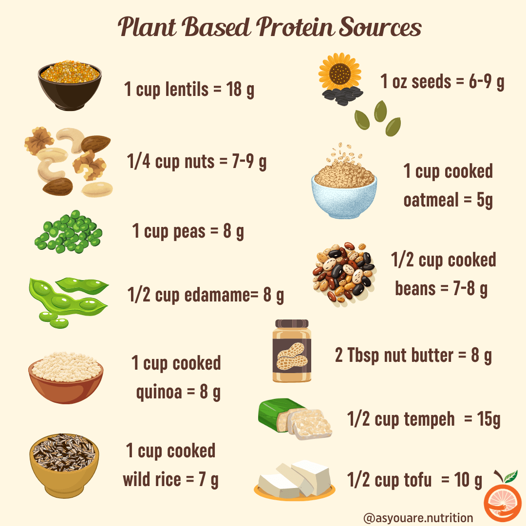 Your Plant-Based Protein Guide — As You Are Nutrition