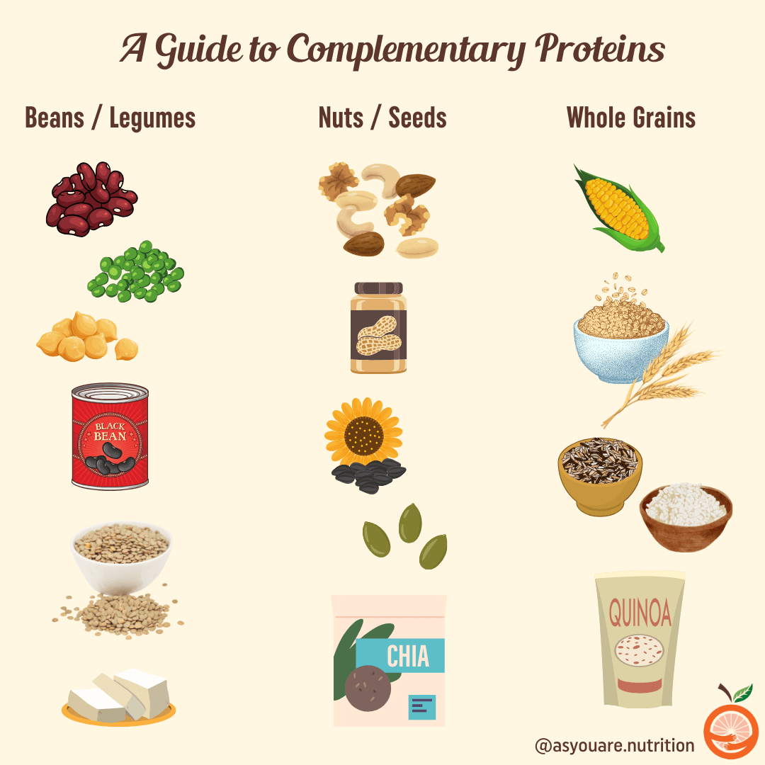 Your Plant-Based Protein Guide — As You Are Nutrition