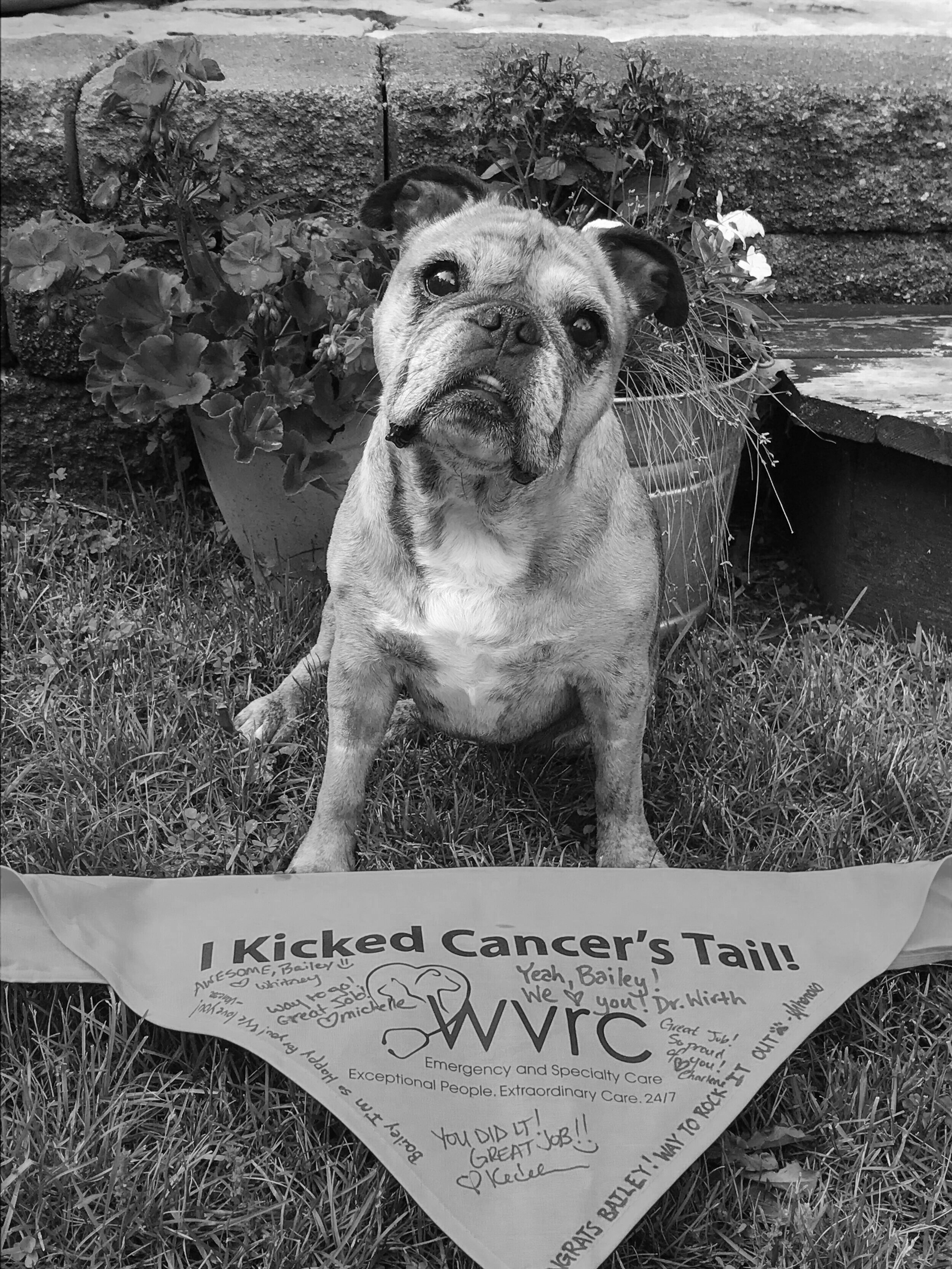 About — Full Bloom Acres