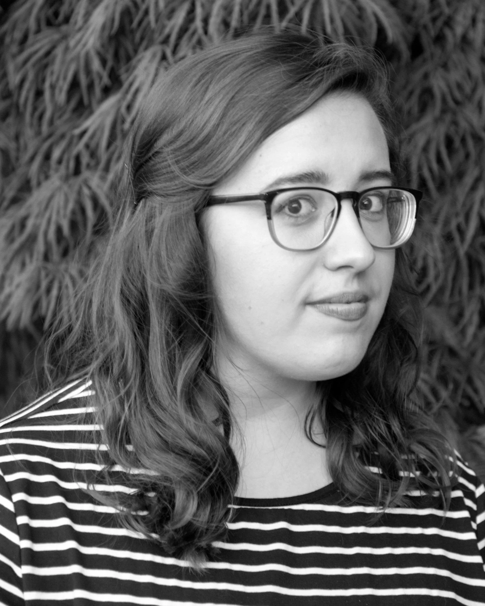 Our Team — M. Palmer Consulting