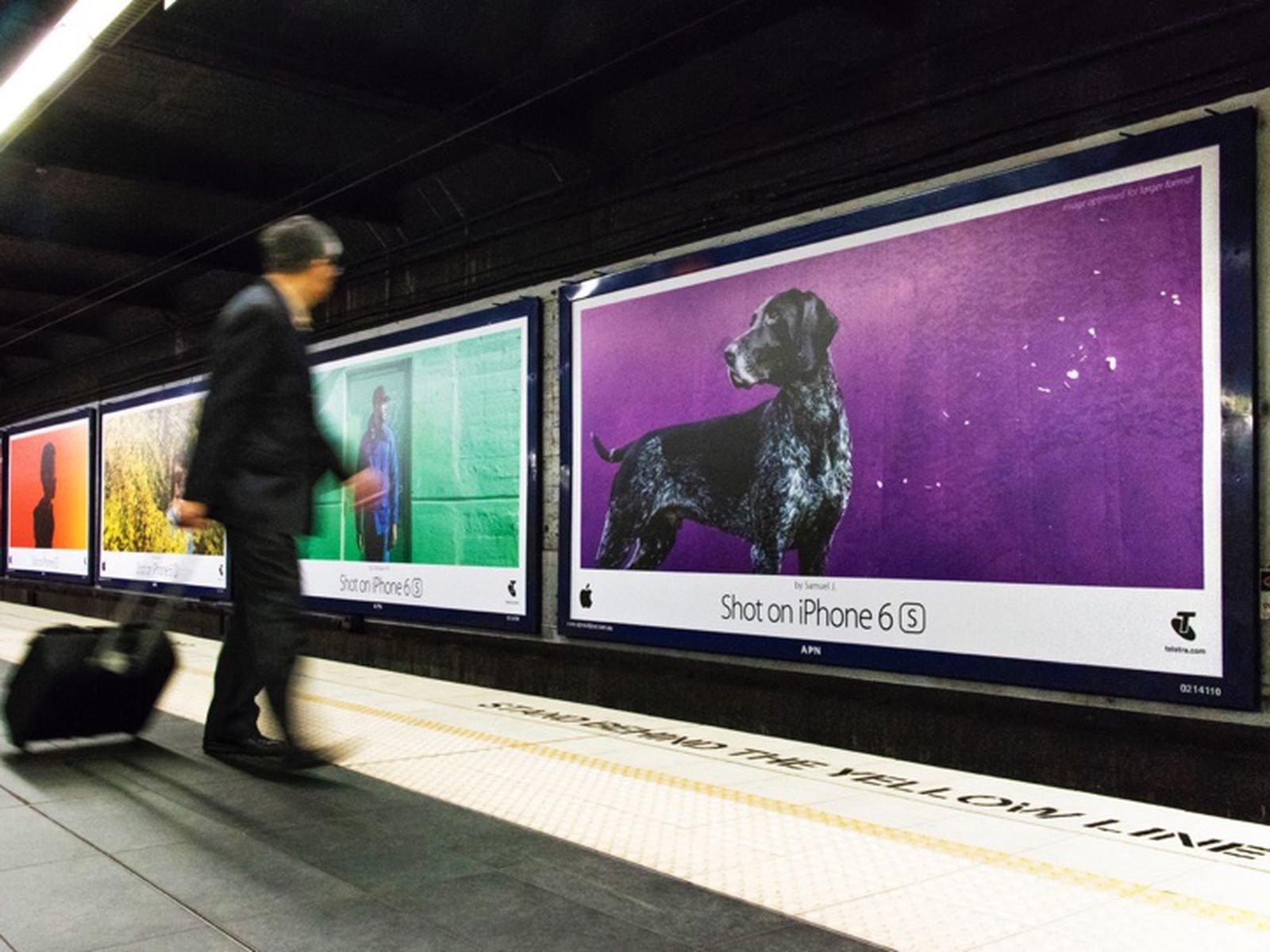 Digital Branding 101: A Comprehensive Guide to Digital Branding — The ...