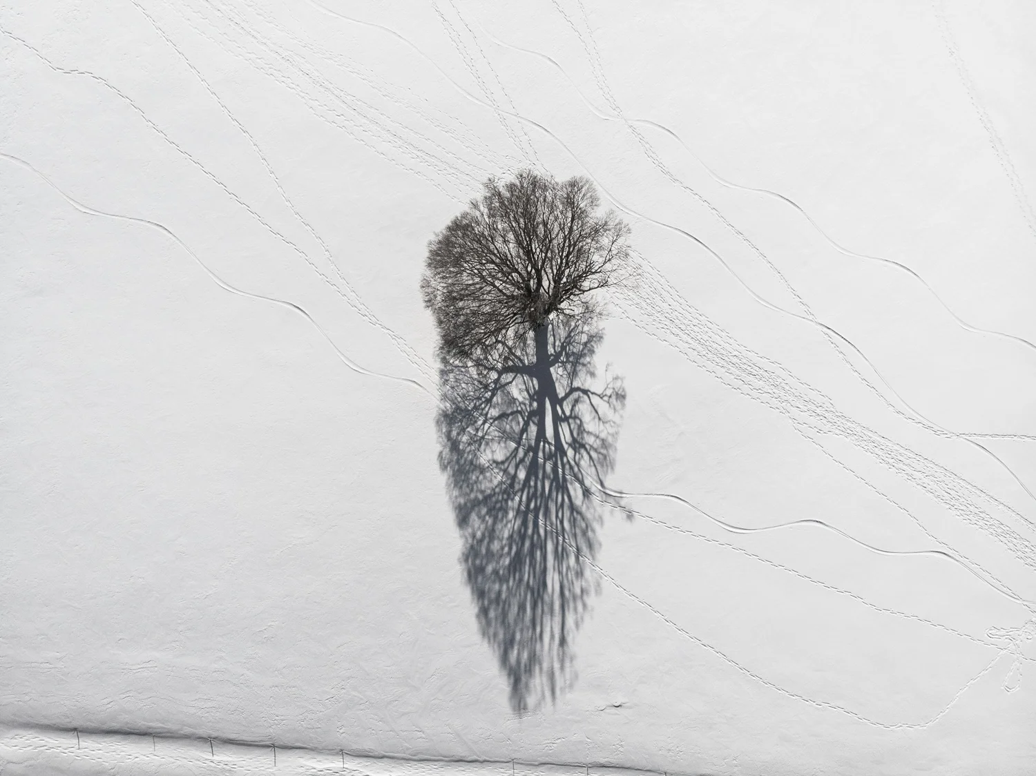 10 Essential Winter Photography Tips for Stunning Photos — TEN SIX ...