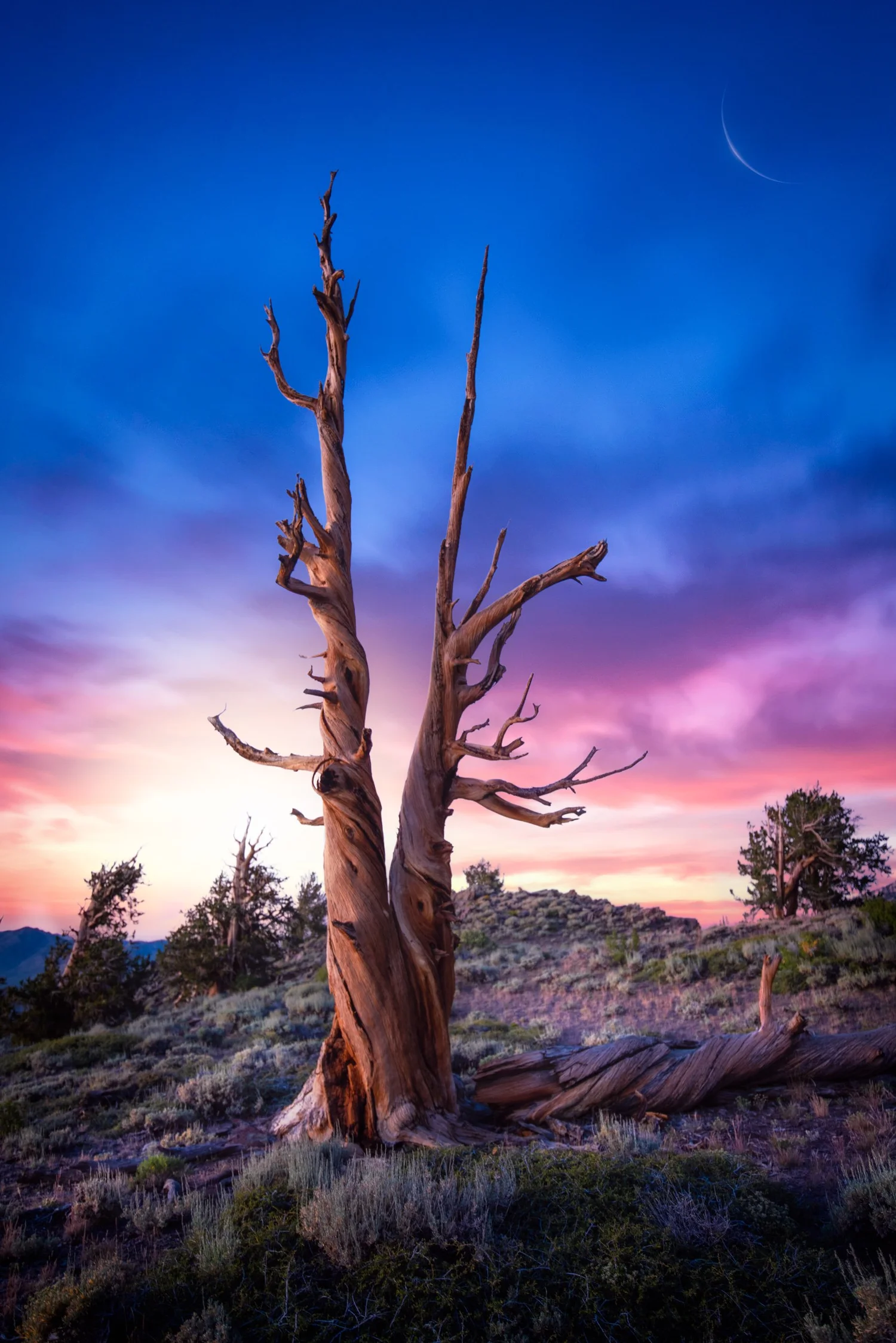 How to Photograph the Moon: A Complete Guide — TEN SIX Photography ...