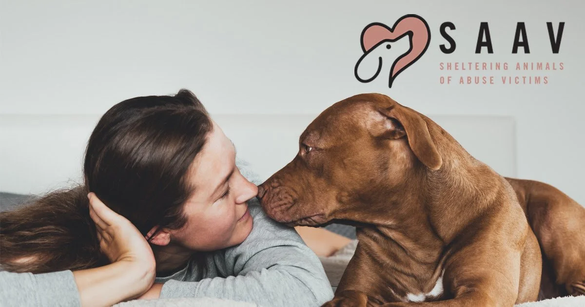 Start-Up Guide — Sheltering Animals of Abuse Victims
