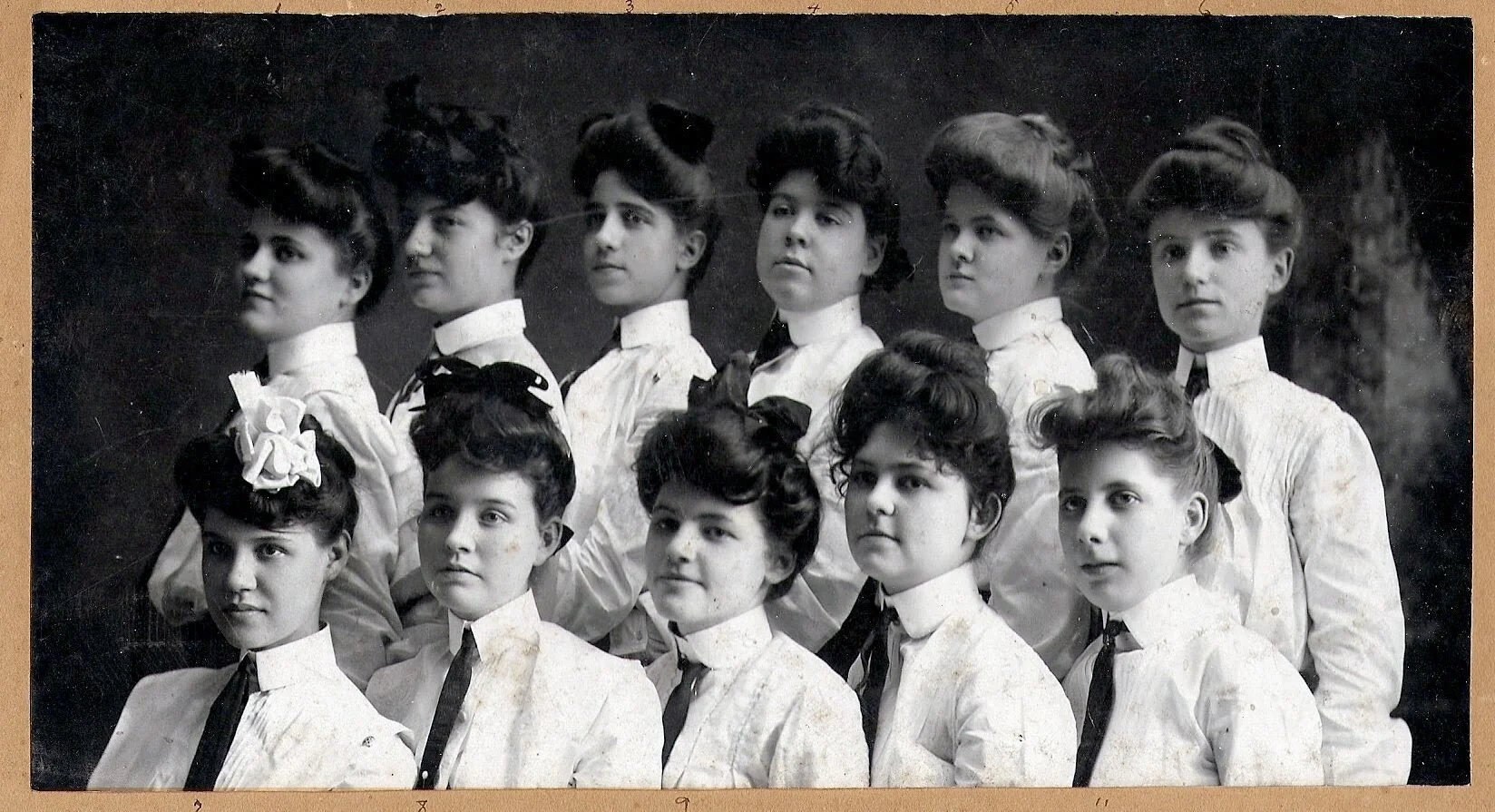 History and Values — Delta Beta Sigma Sorority