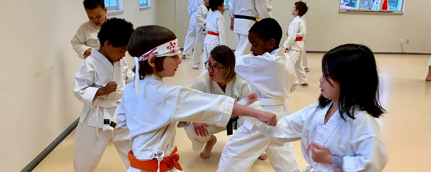 Shotokan Karate Minnesota