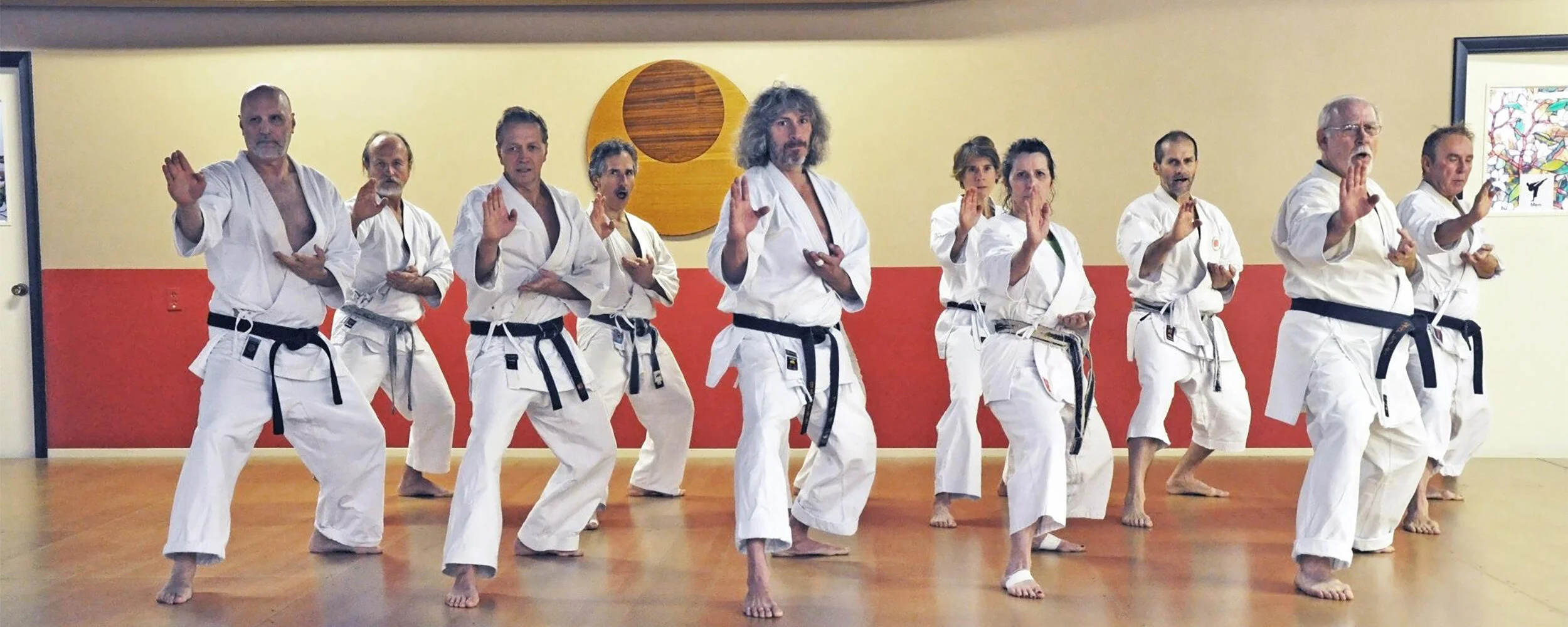 Shotokan Karate Minnesota