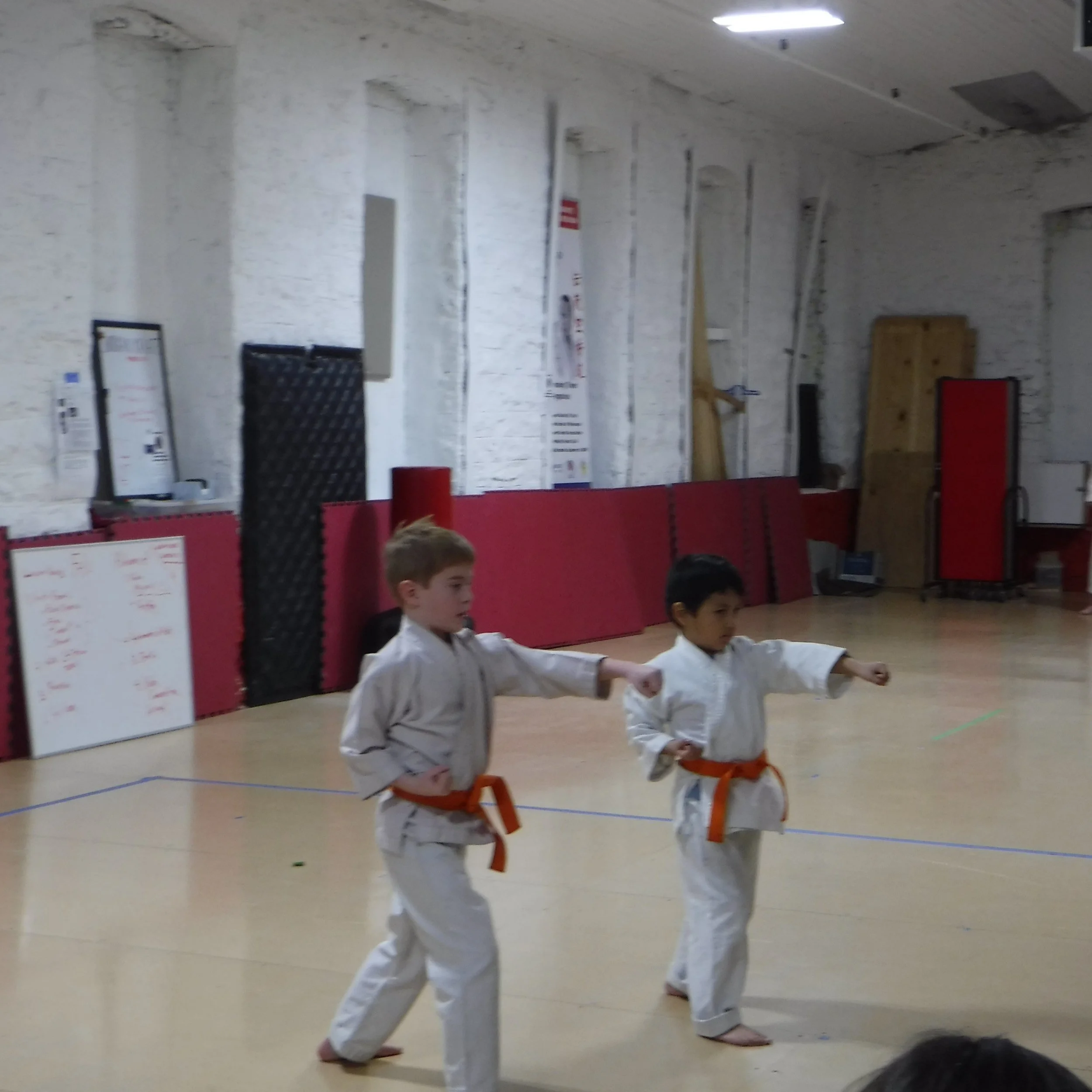 Shotokan Karate Minnesota