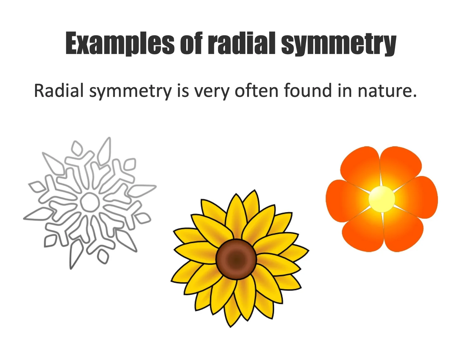 Radial origami (5thG) — MR. RATHAUS ART
