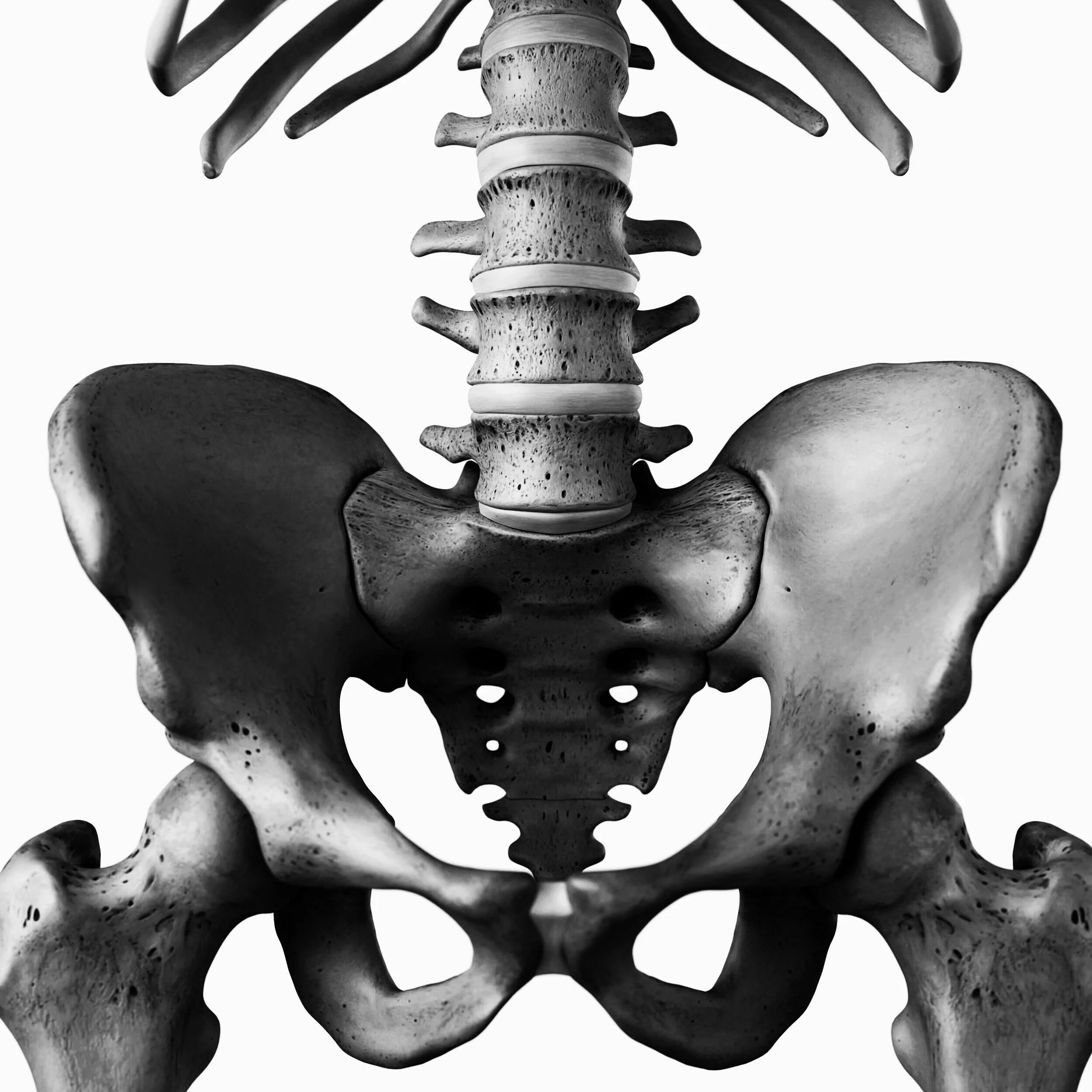 I Pelvic Floor Orthopedic Visceral Physical Therapy And Dry i-pelvic-floor-orthopedic-visceral-physical-therapy-and-dry