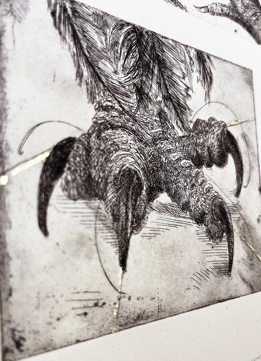 Bask — Rosie McLay Art