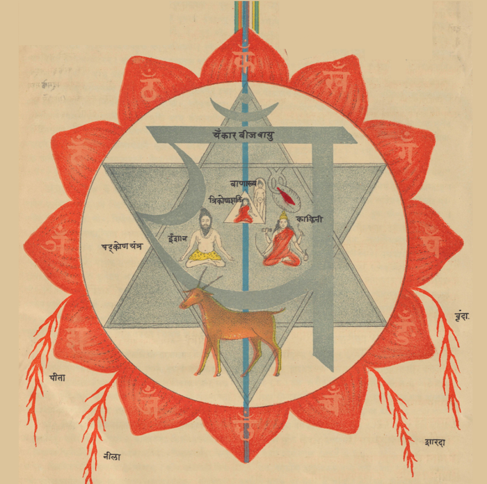 Maha Shakti & The Chakra Yoginis