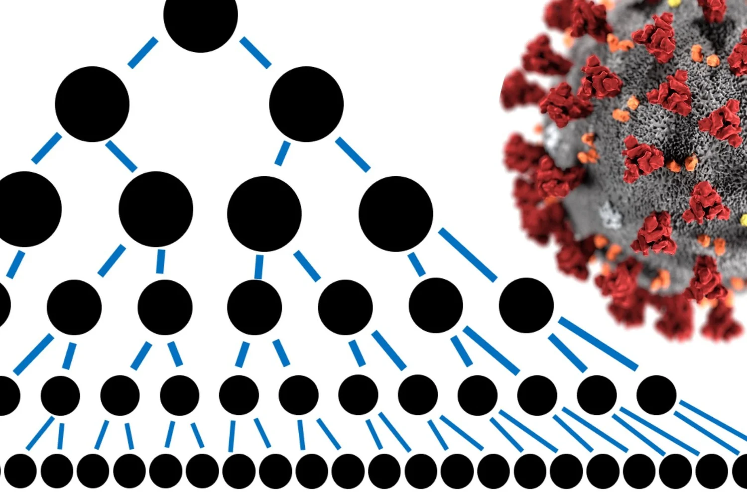 NYT Lessons — Skew The Script