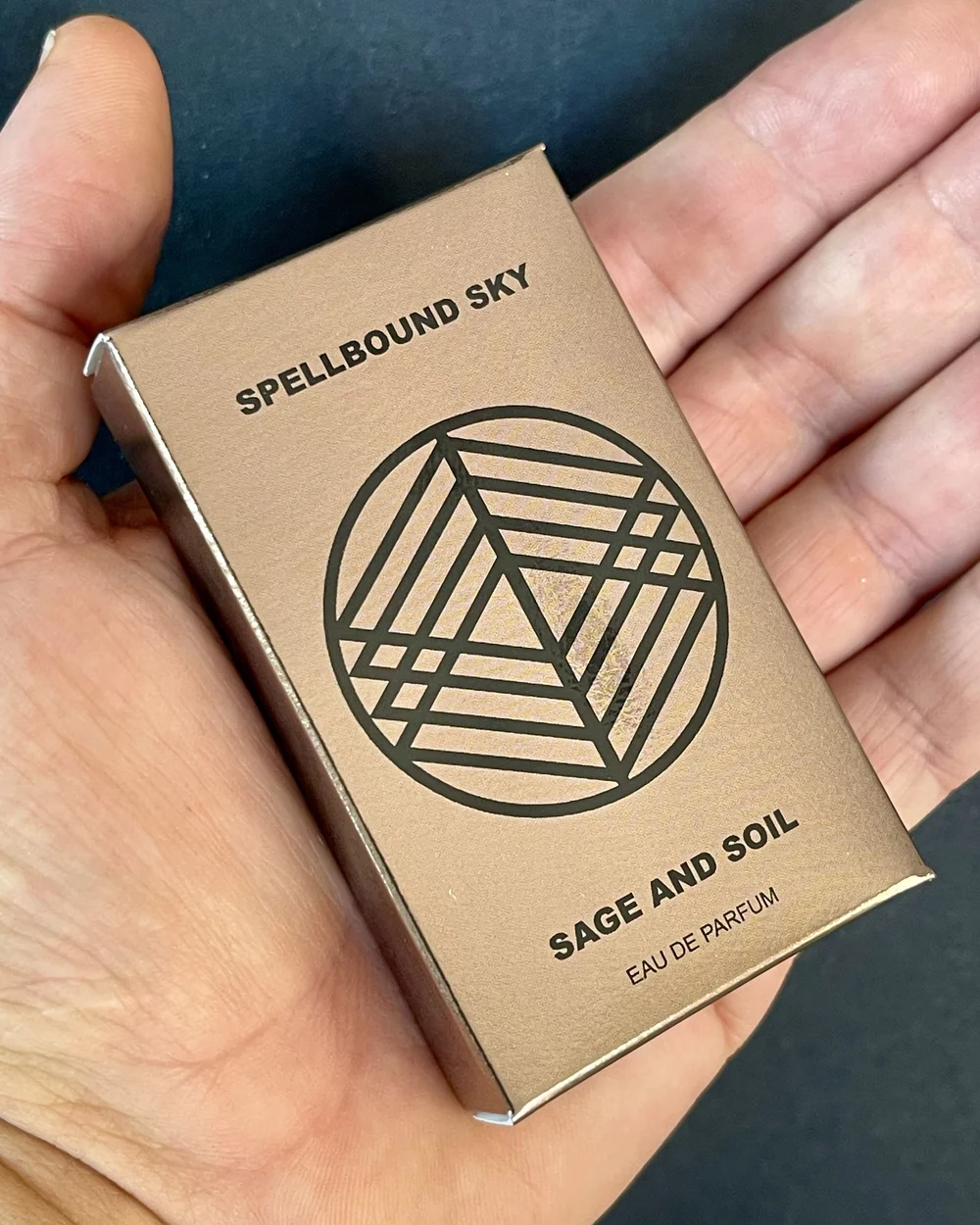 SPELLBOUND SKY