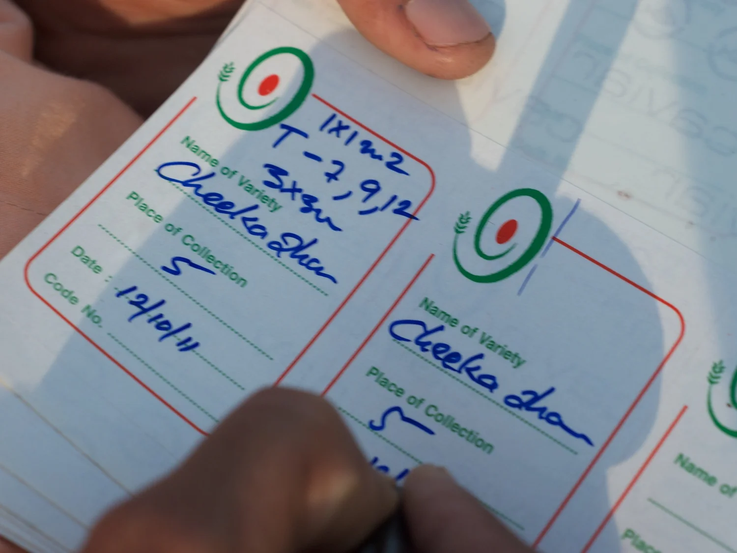 THE FARM — Friends Of Navdanya