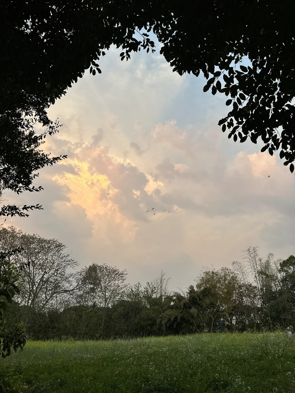 THE FARM — Friends Of Navdanya