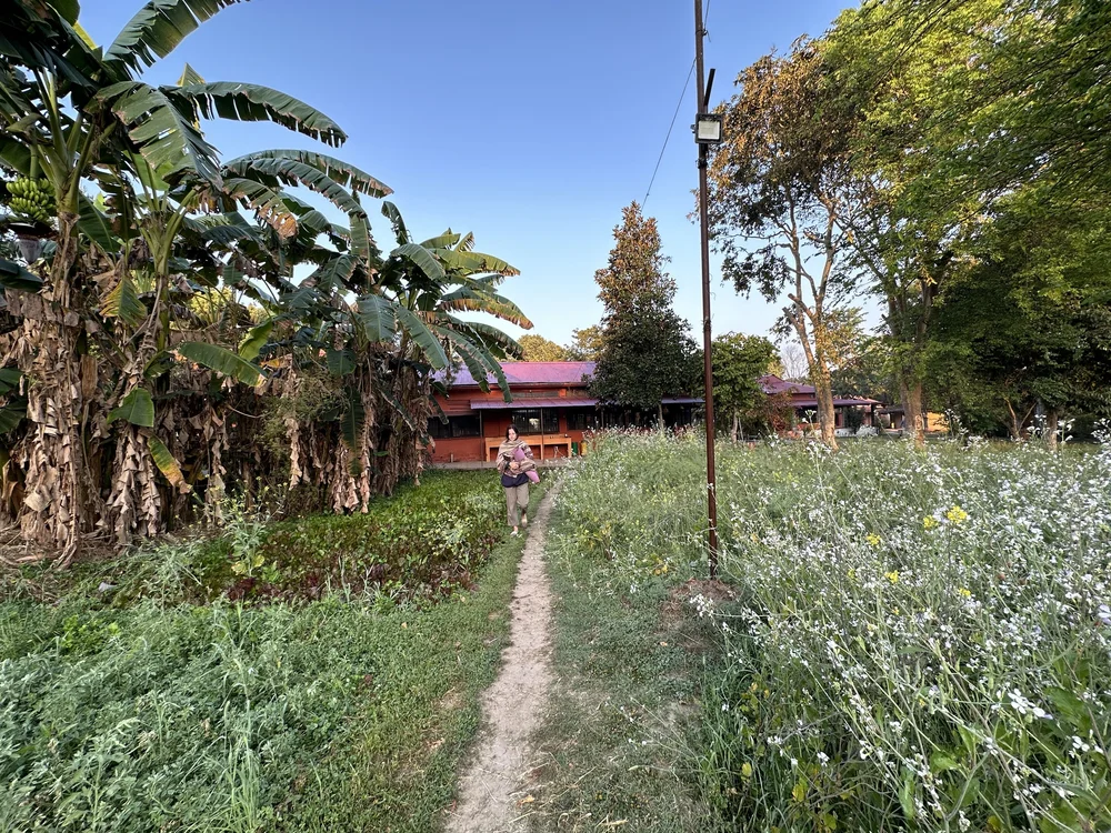 THE FARM — Friends Of Navdanya