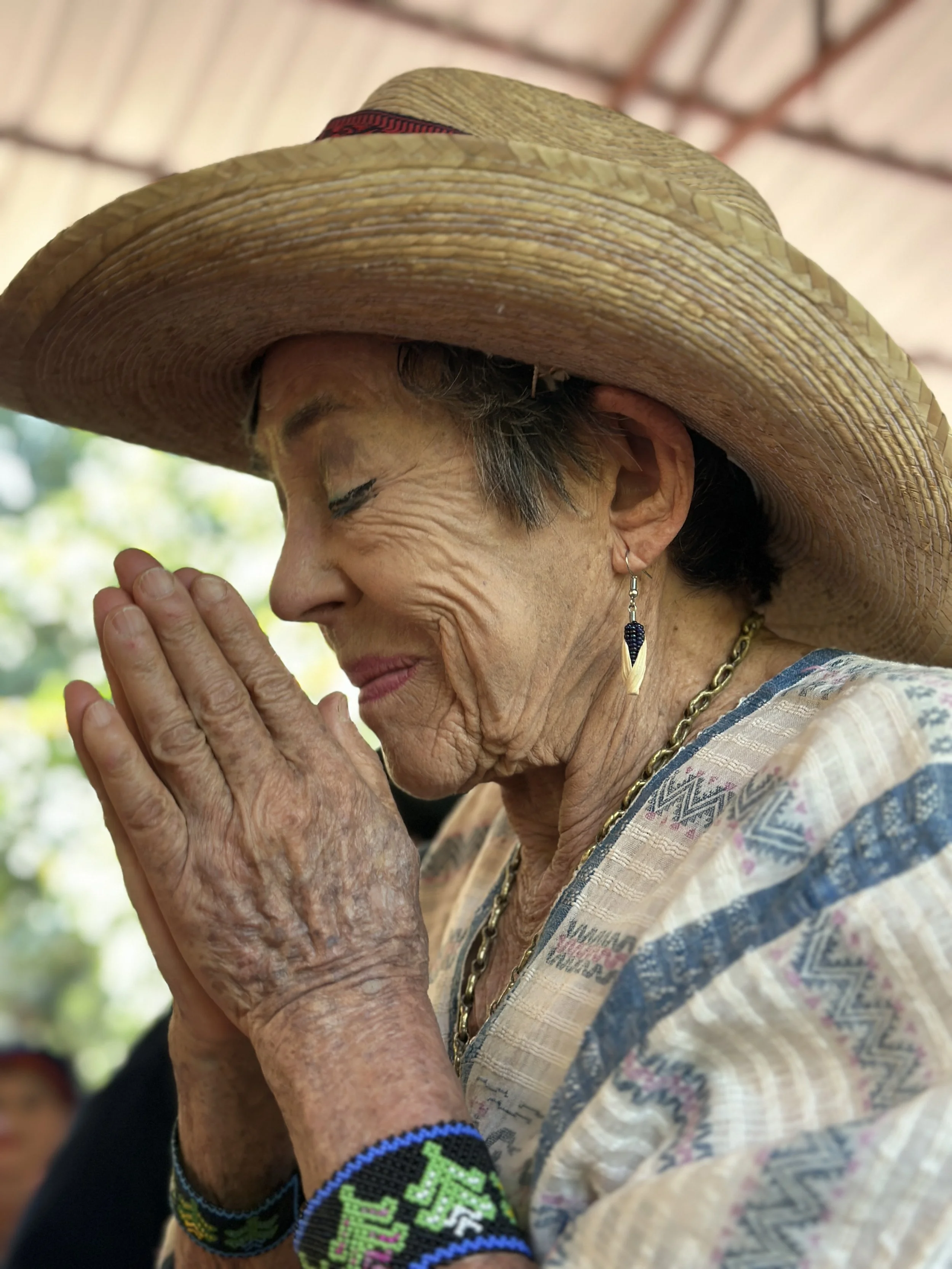 THE MOVEMENT — Friends Of Navdanya