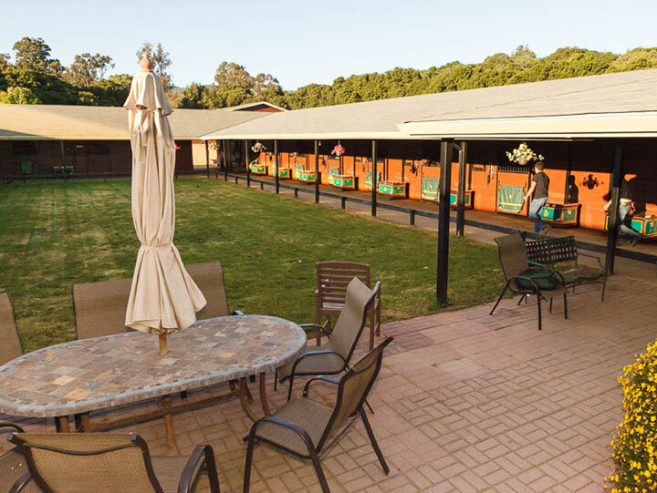 Facilities — Isola Stables