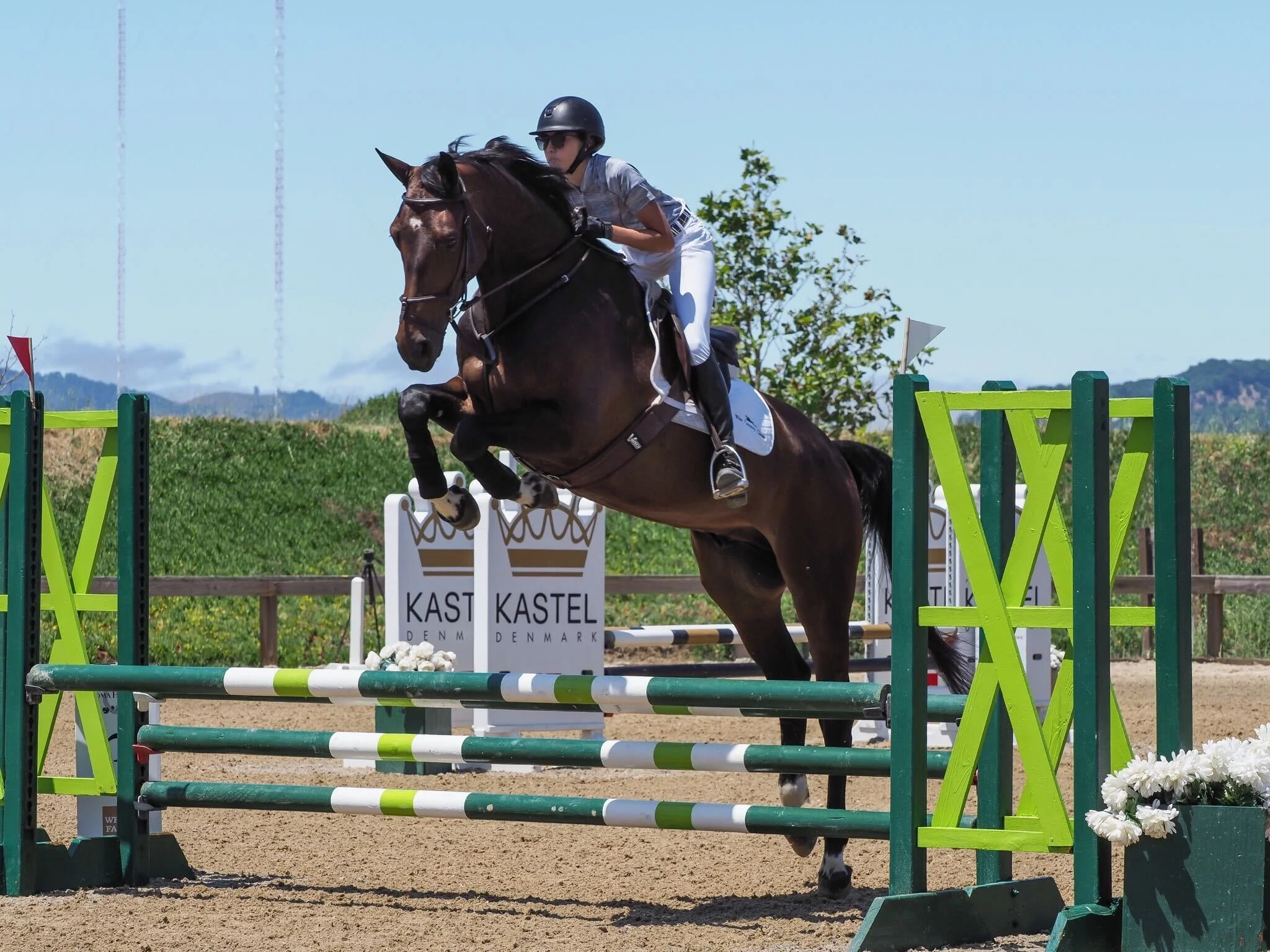 Programs — Isola Stables