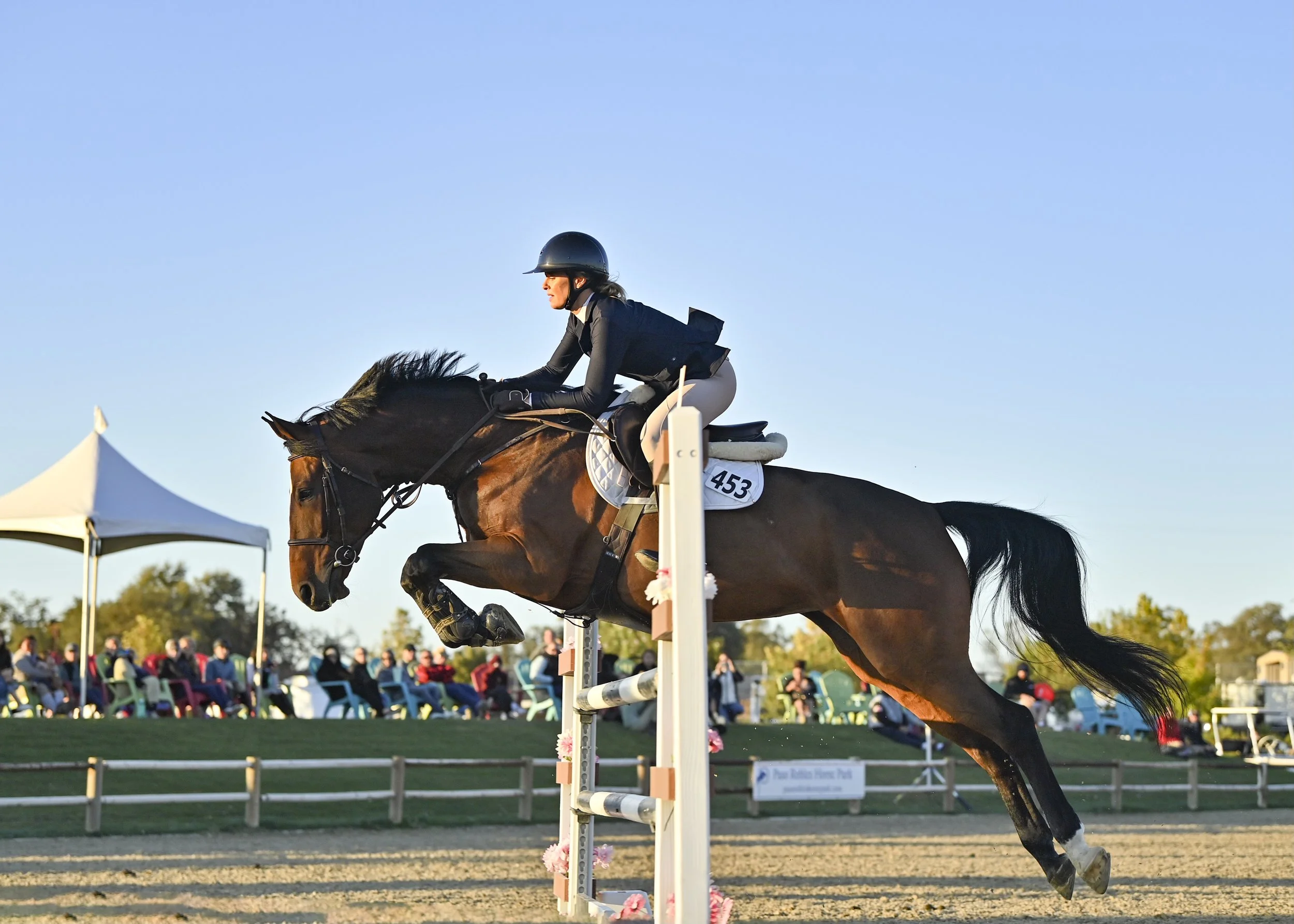 Programs — Isola Stables