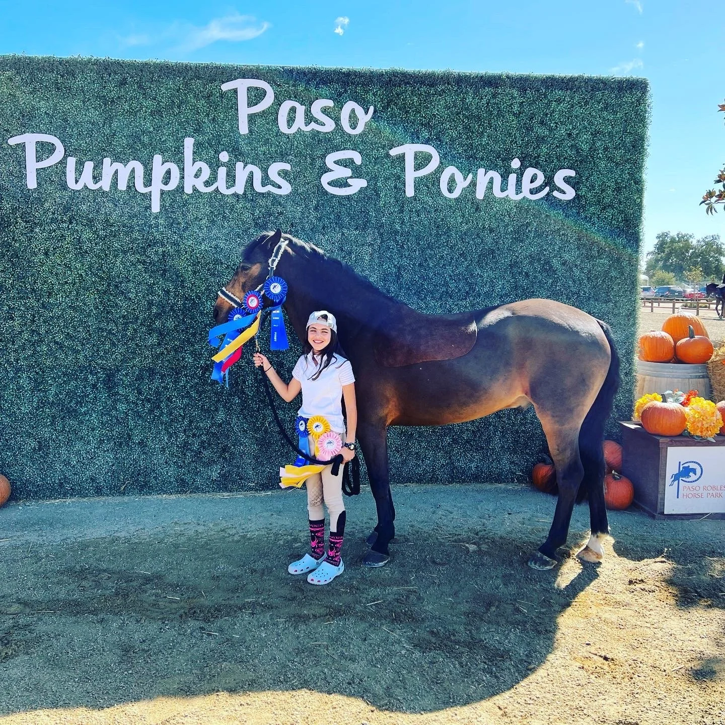 Programs — Isola Stables