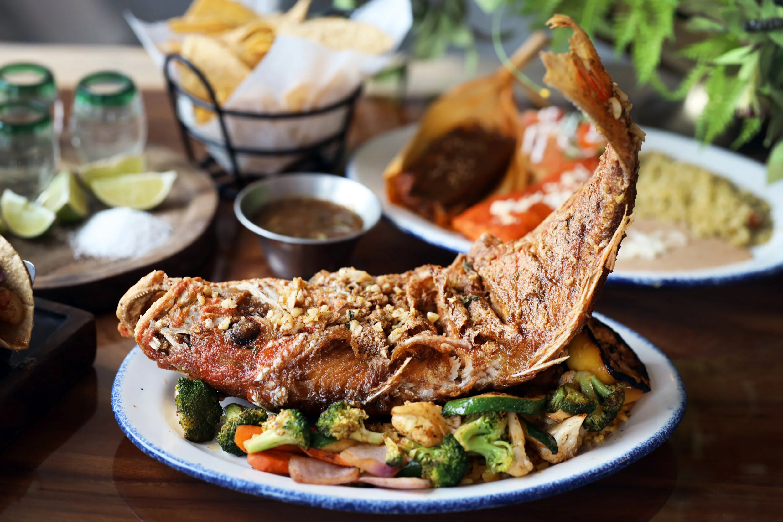 HACIENDA REAL | FLAVORS OF MEXICO