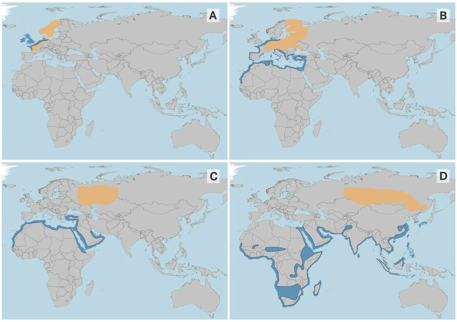 Oriental Curlews in Western Europe: identification and status ...